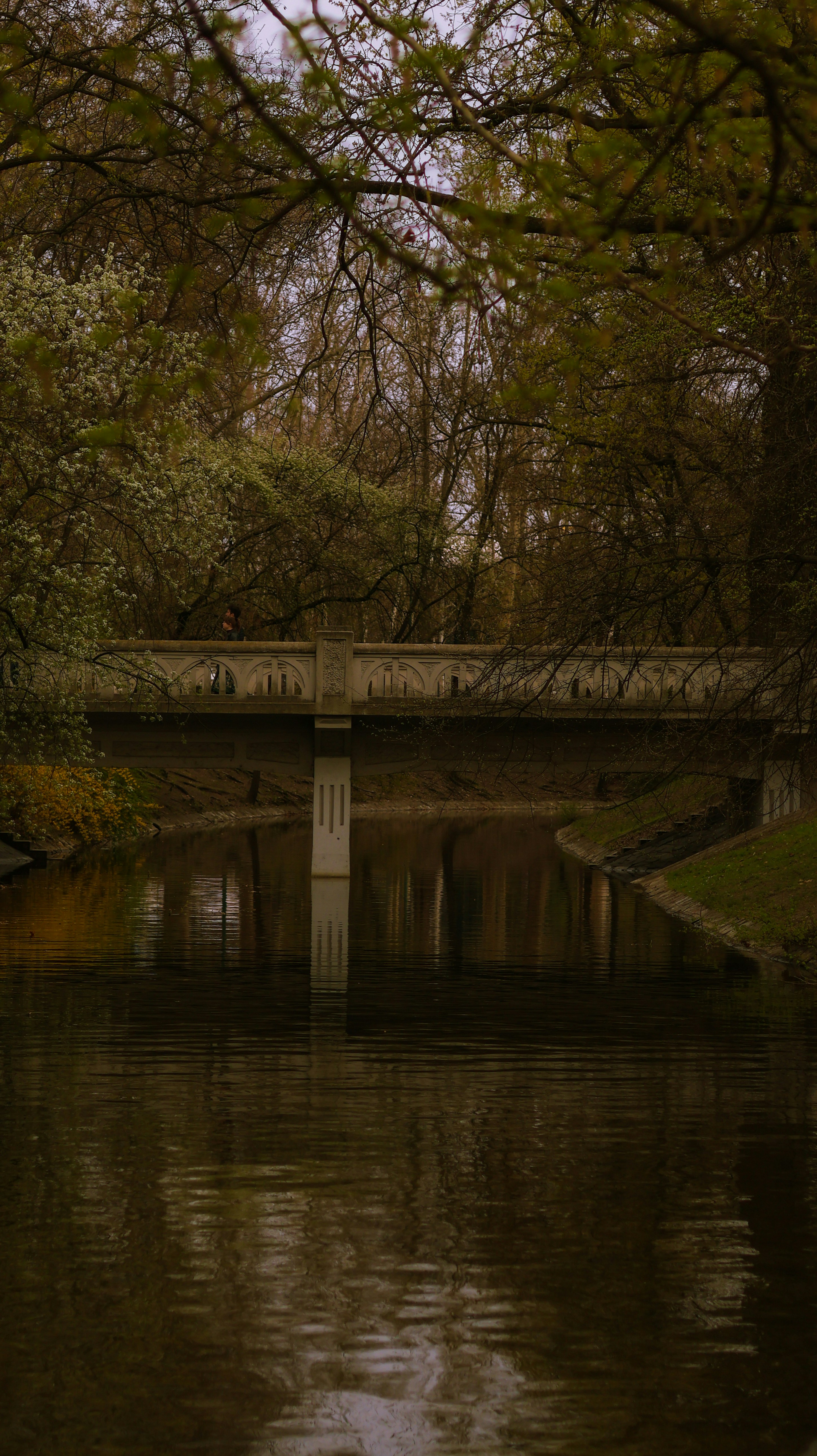 Bridge over Quiet Water in Dusky Spring Park