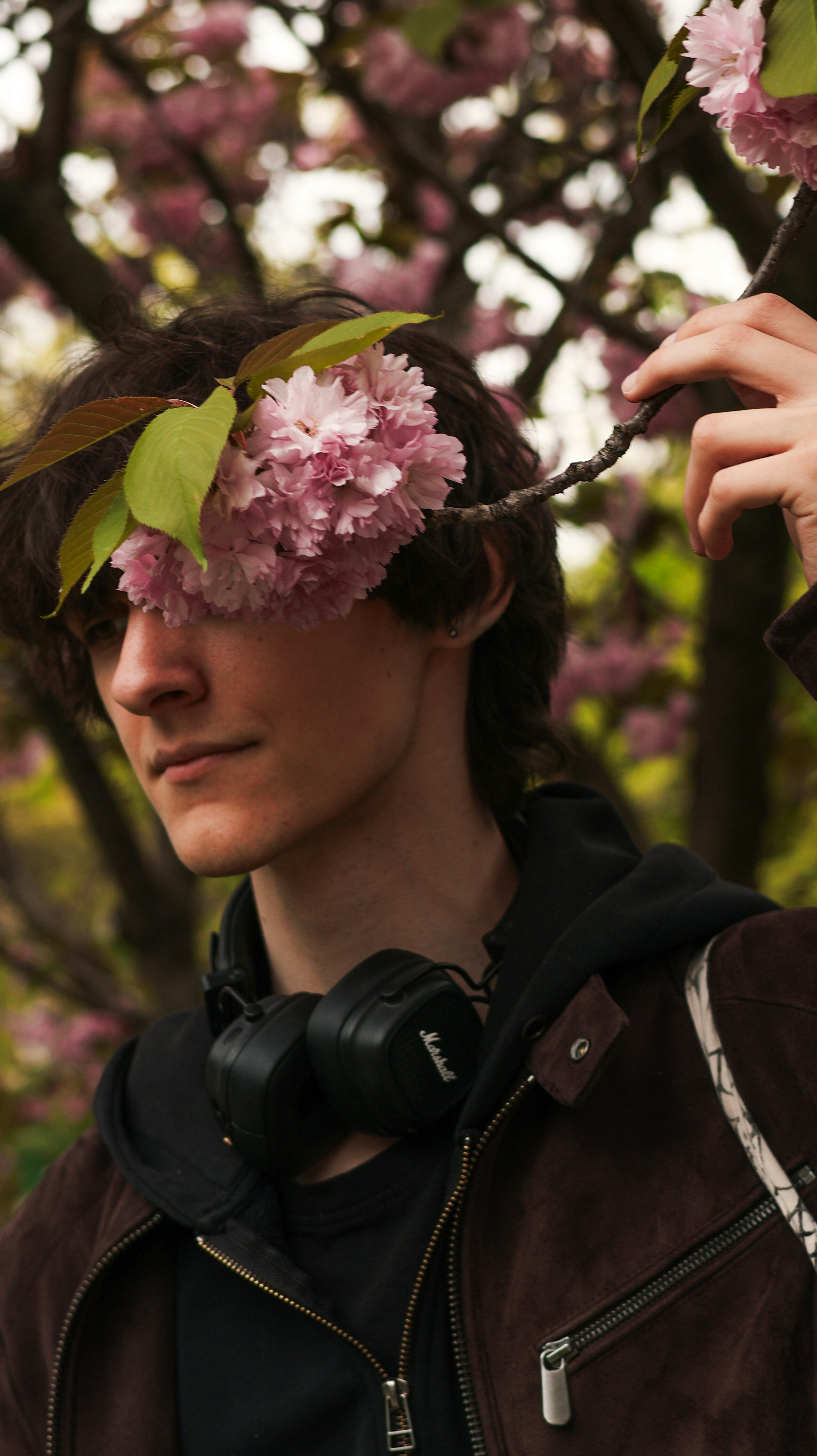 Blossoms over the Brow: A Quiet Portrait Under Pink Clouding