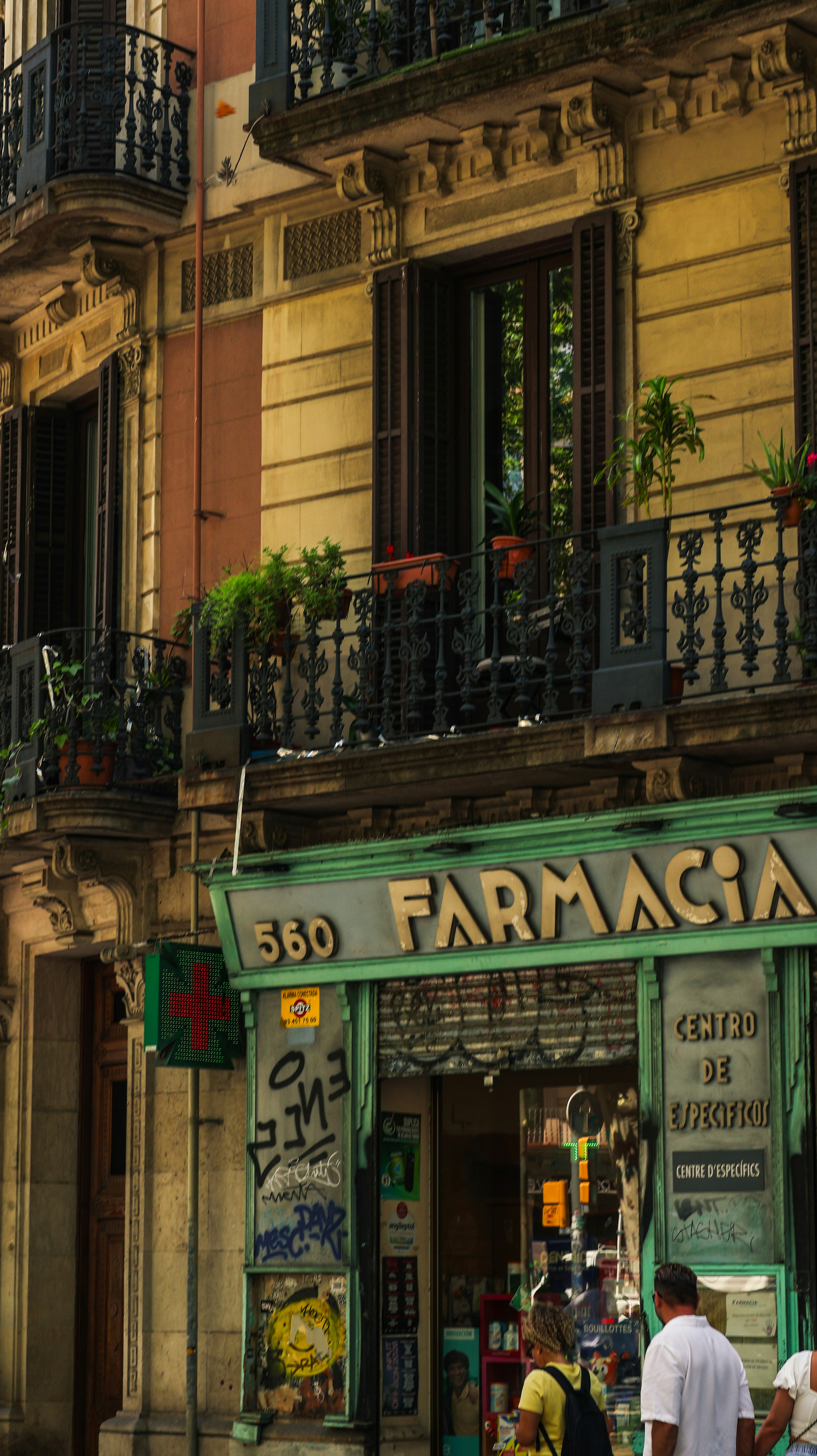 Sunlit Facade and Green Pharmacy Signage
