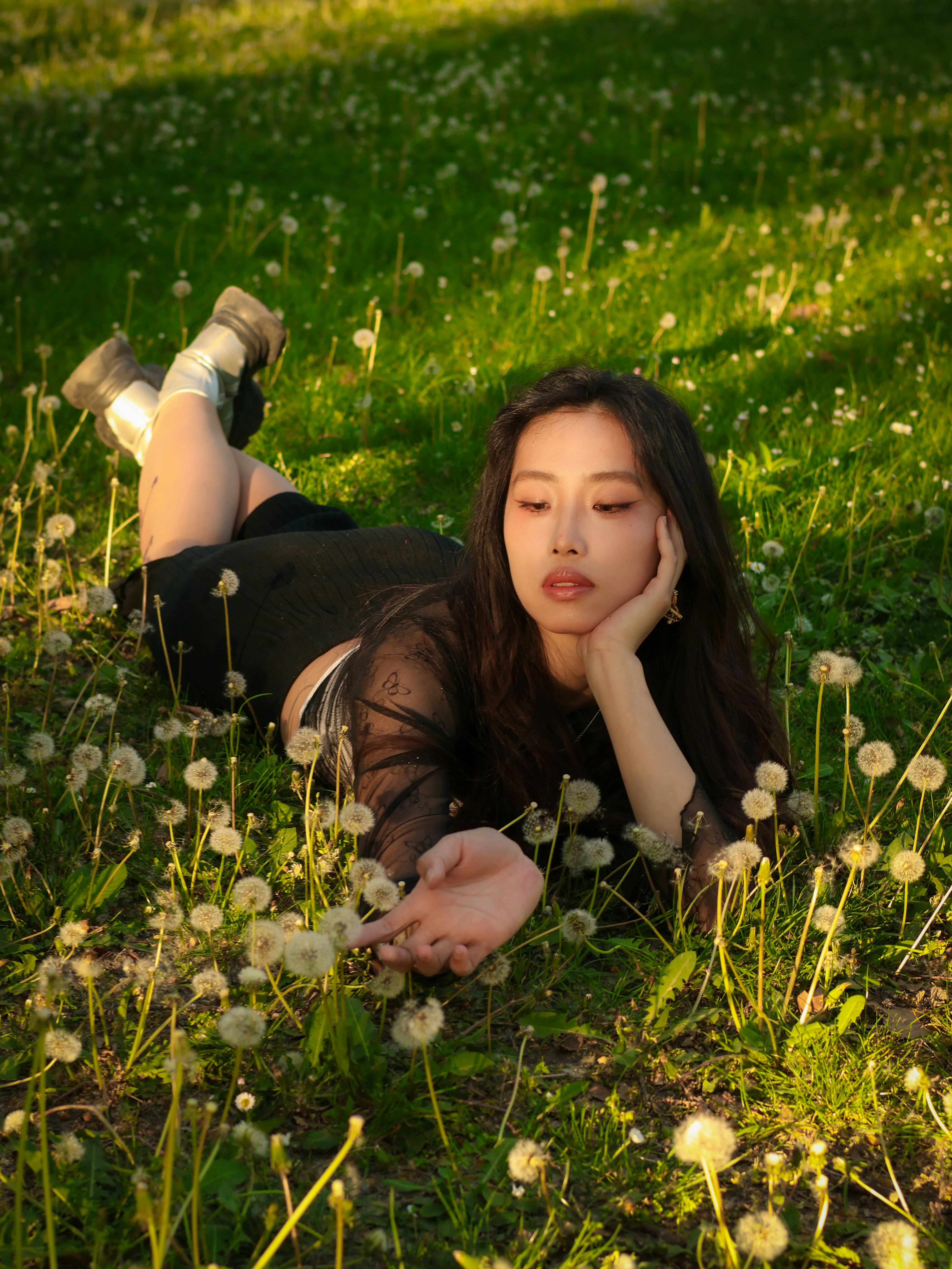 Luxe Lull in the Dandelion Field