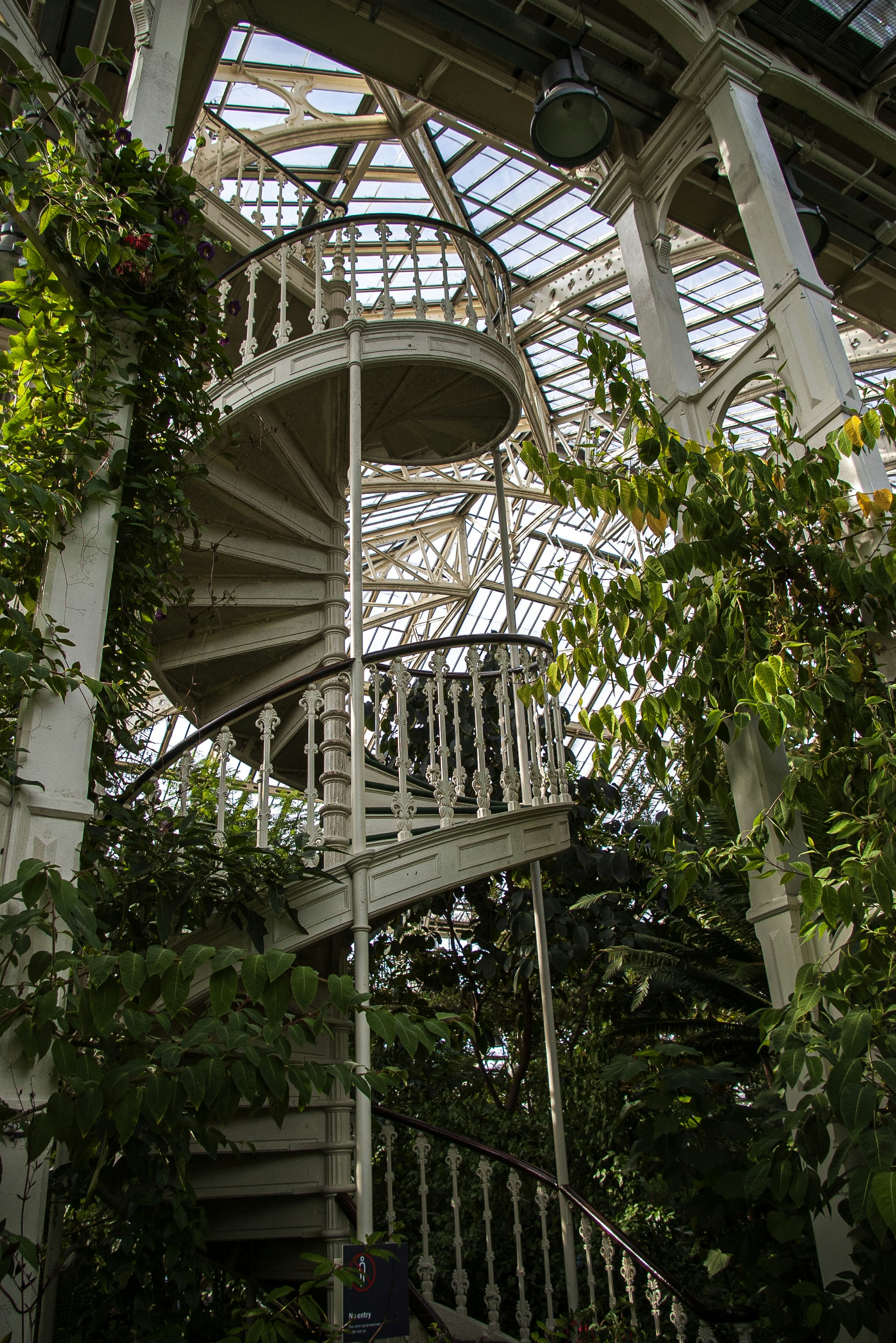 Verdant Staircase in White Conservatory