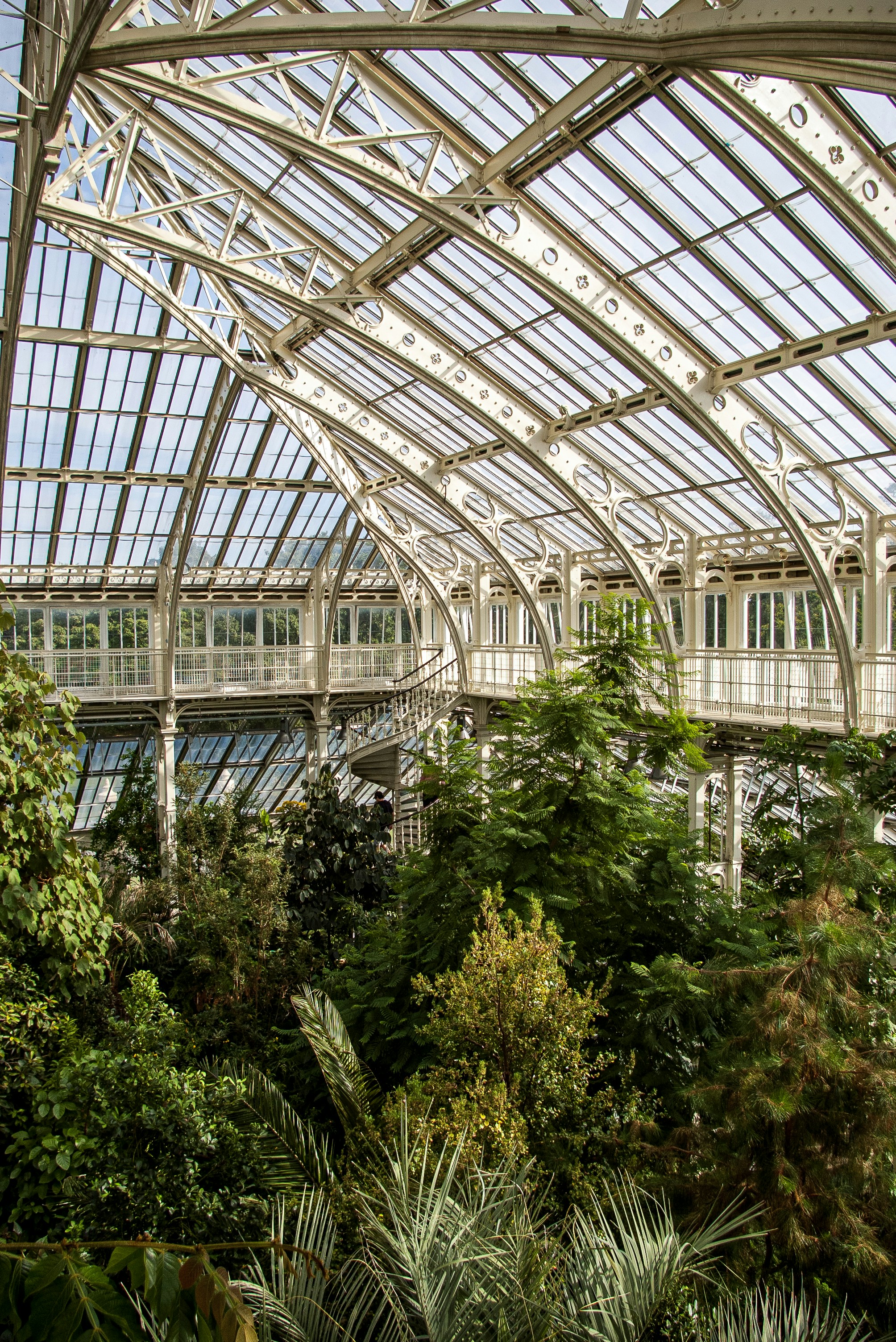 Sunlit glass-and-iron atrium filled with tropical plants and a curving walkway, showcasing a greenhouse conservatory's interior.