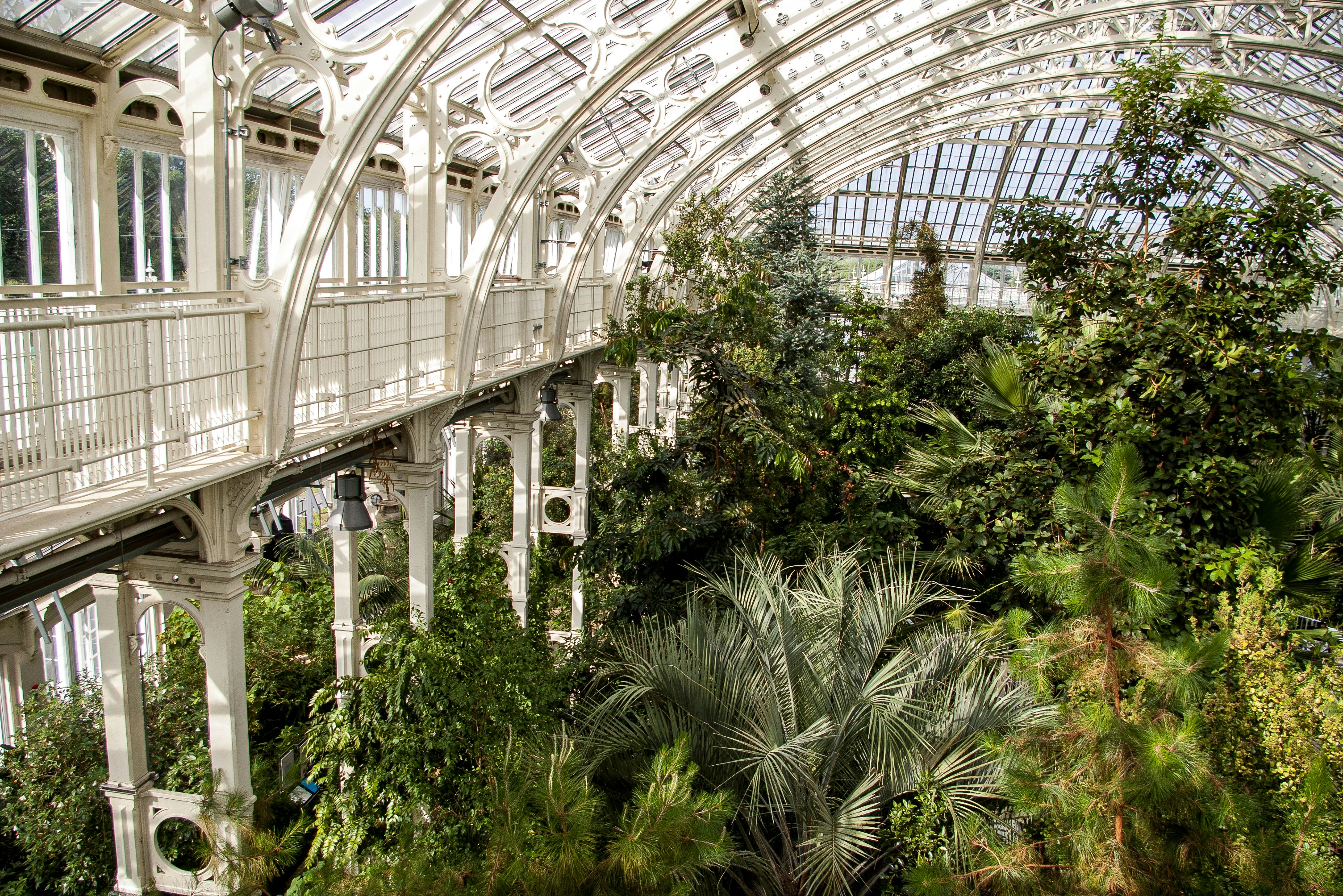 Lush tropical plants fill a glass-domed conservatory with a pedestrian walkway along the left, emphasizing architectural ironwork and bright natural light.