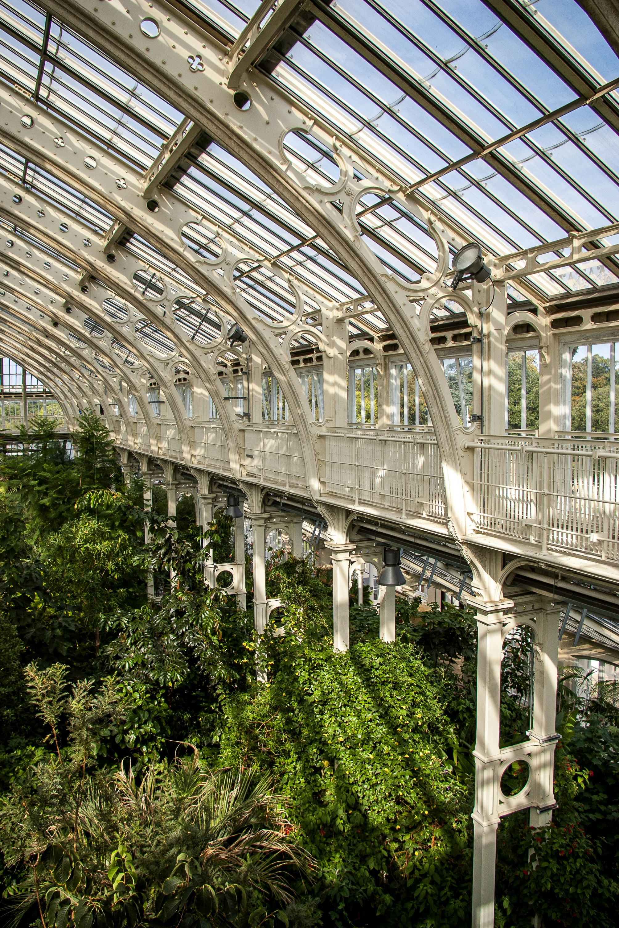 A sunlit ornate iron-and-glass conservatory arches over dense greenery, with intricate metalwork and supporting columns forming a bright, airy corridor above thriving plants.