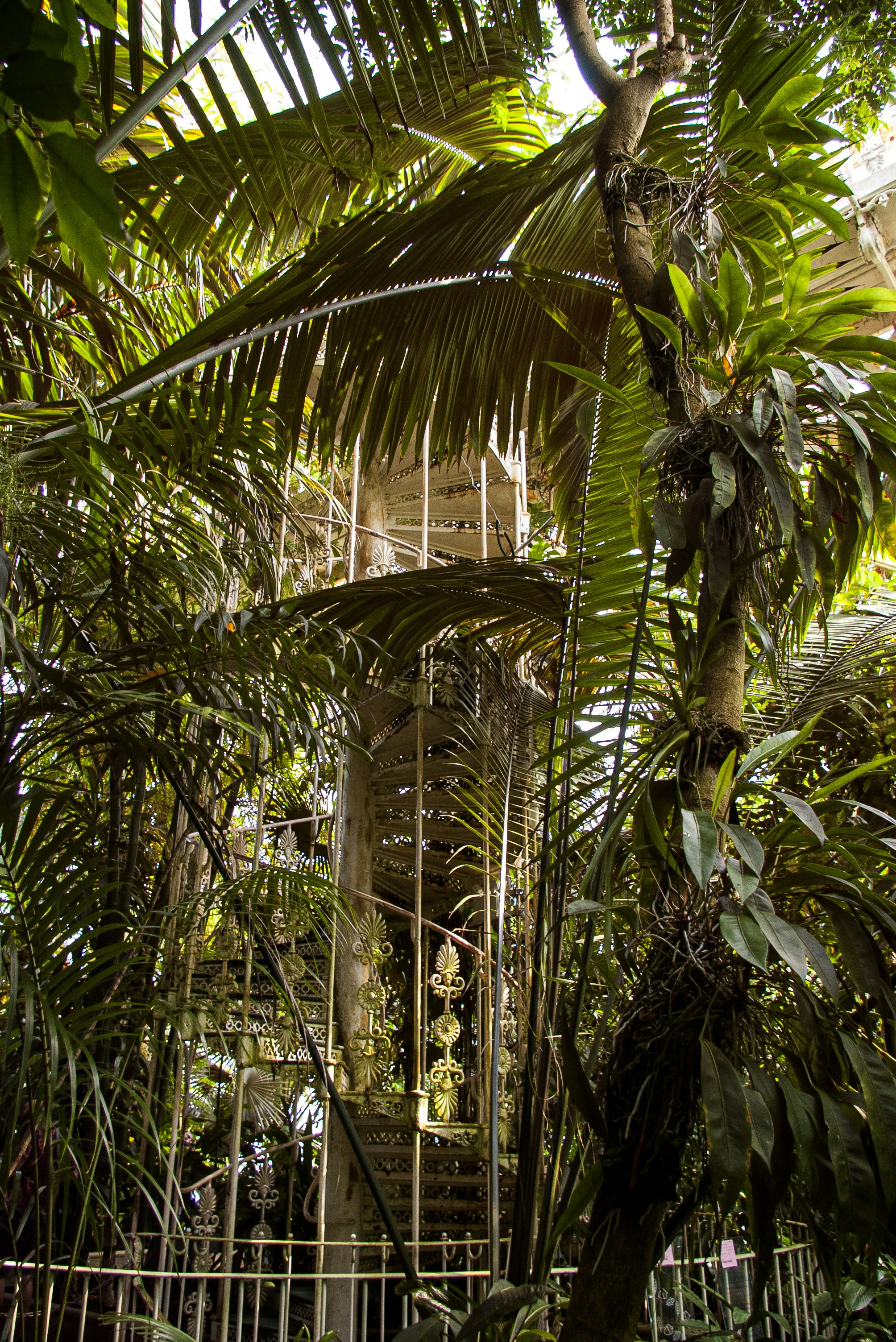 Dense tropical foliage frames a small, ornate shrine behind a delicate iron gate, suggesting a quiet sanctuary tucked within the greenery.