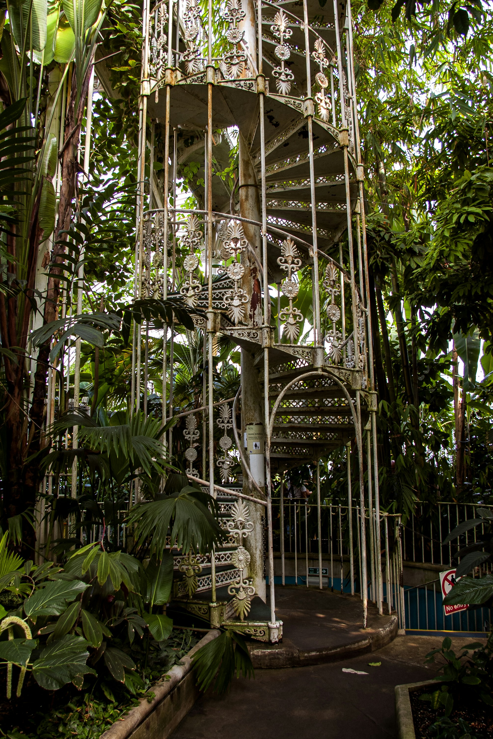 Spiral Garden Staircase: Iron Lace Piercing Through Greenery