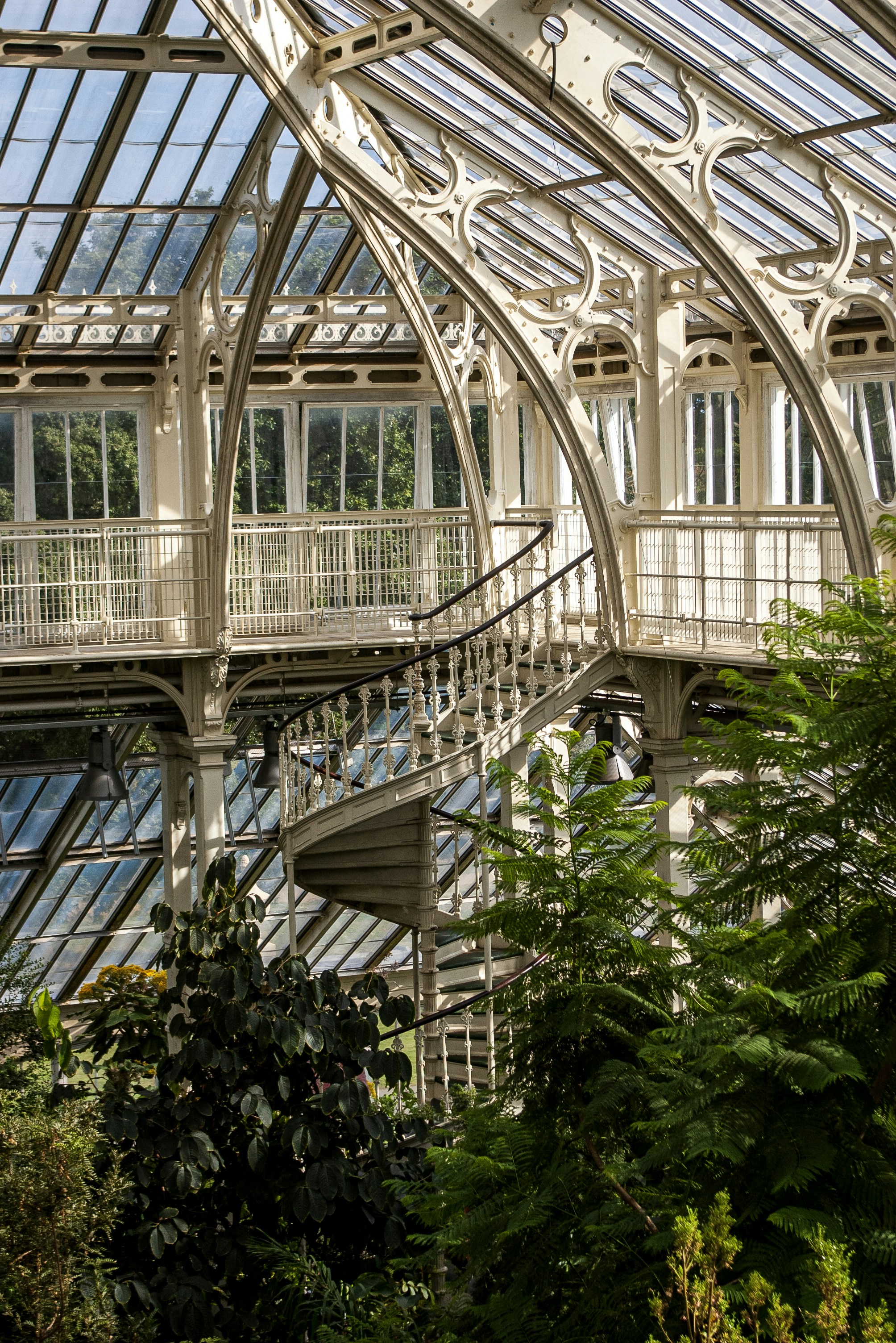 Ornate glasshouse interior with metal arches and a spiral staircase, surrounded by plants and natural light. A botanical conservatory scene.