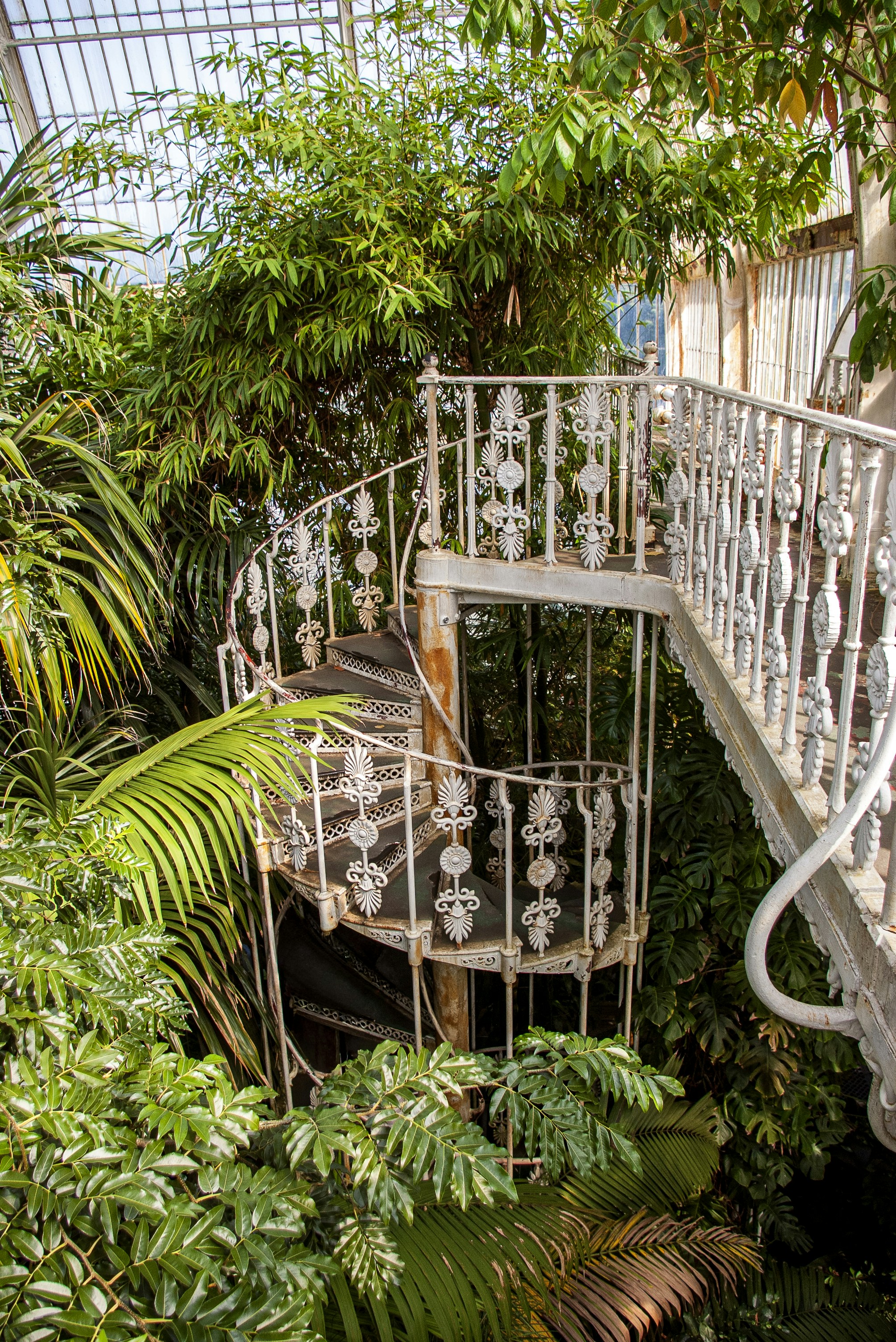 Lush tropical plants surround a white ornate spiral staircase, weaving through a greenhouse-like environment with natural light filtering in.