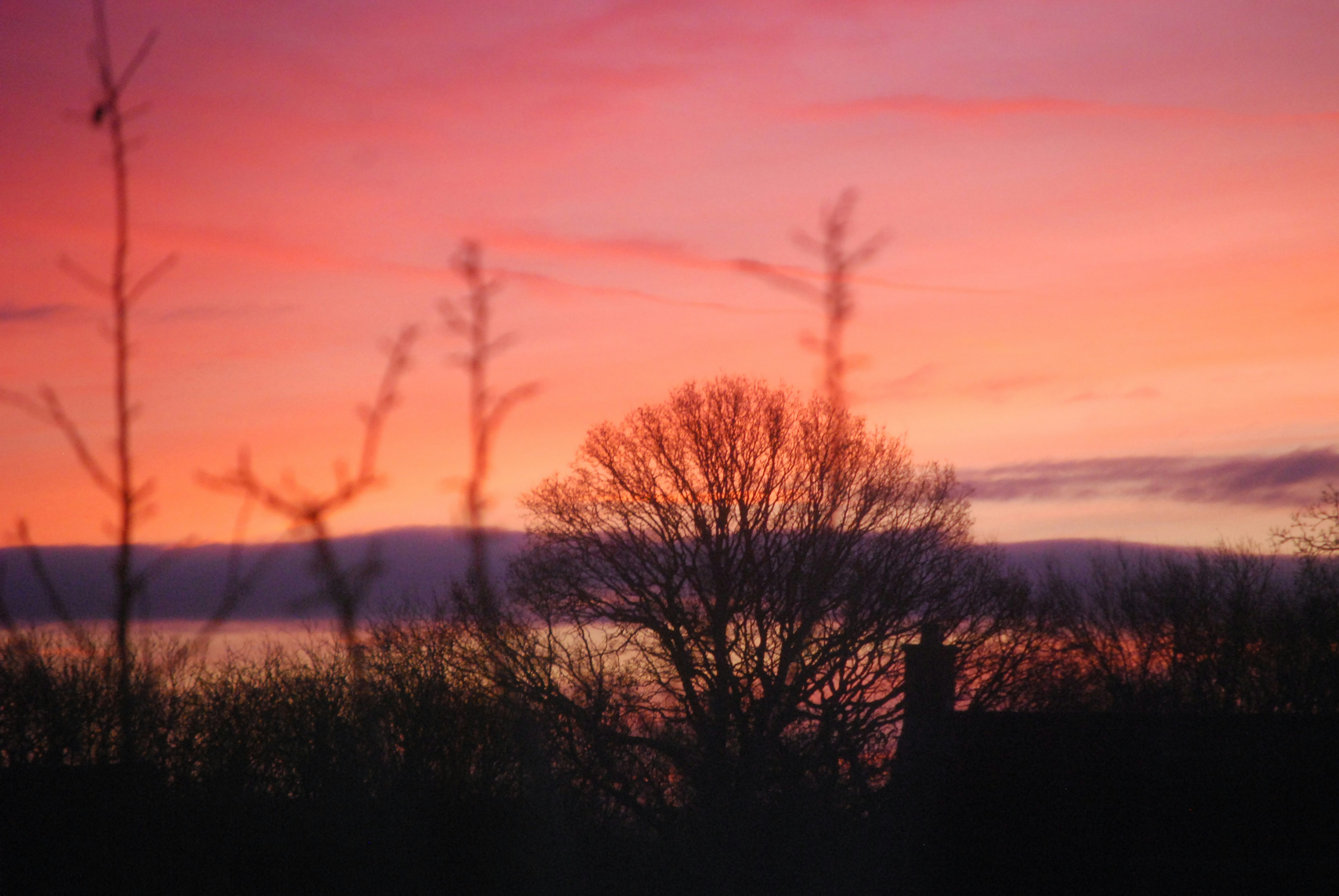 Silhouette at Sunset: A Quiet Horizon