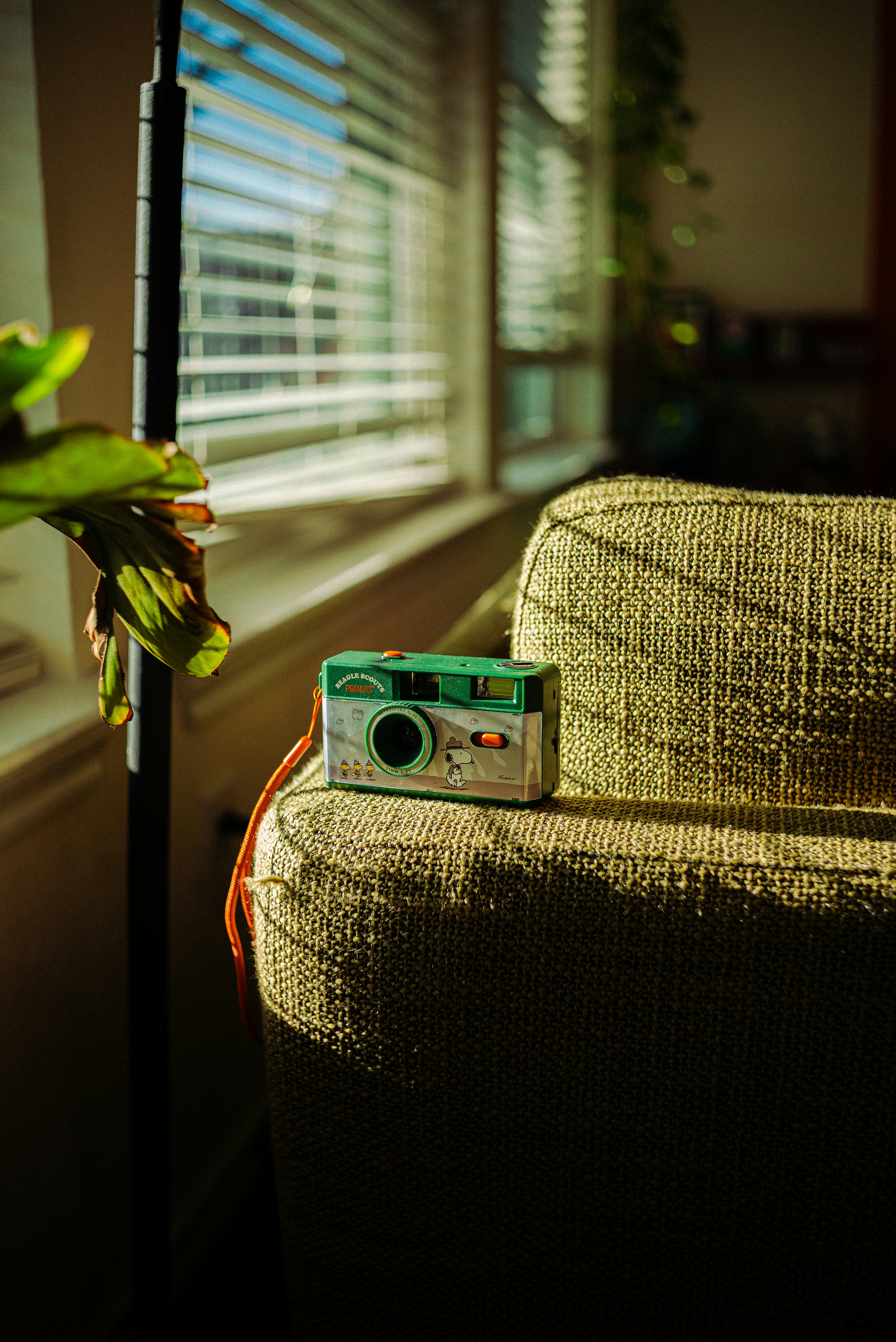 Minted Memories: A Vintage Compact Waits on the Sunlit Sofa