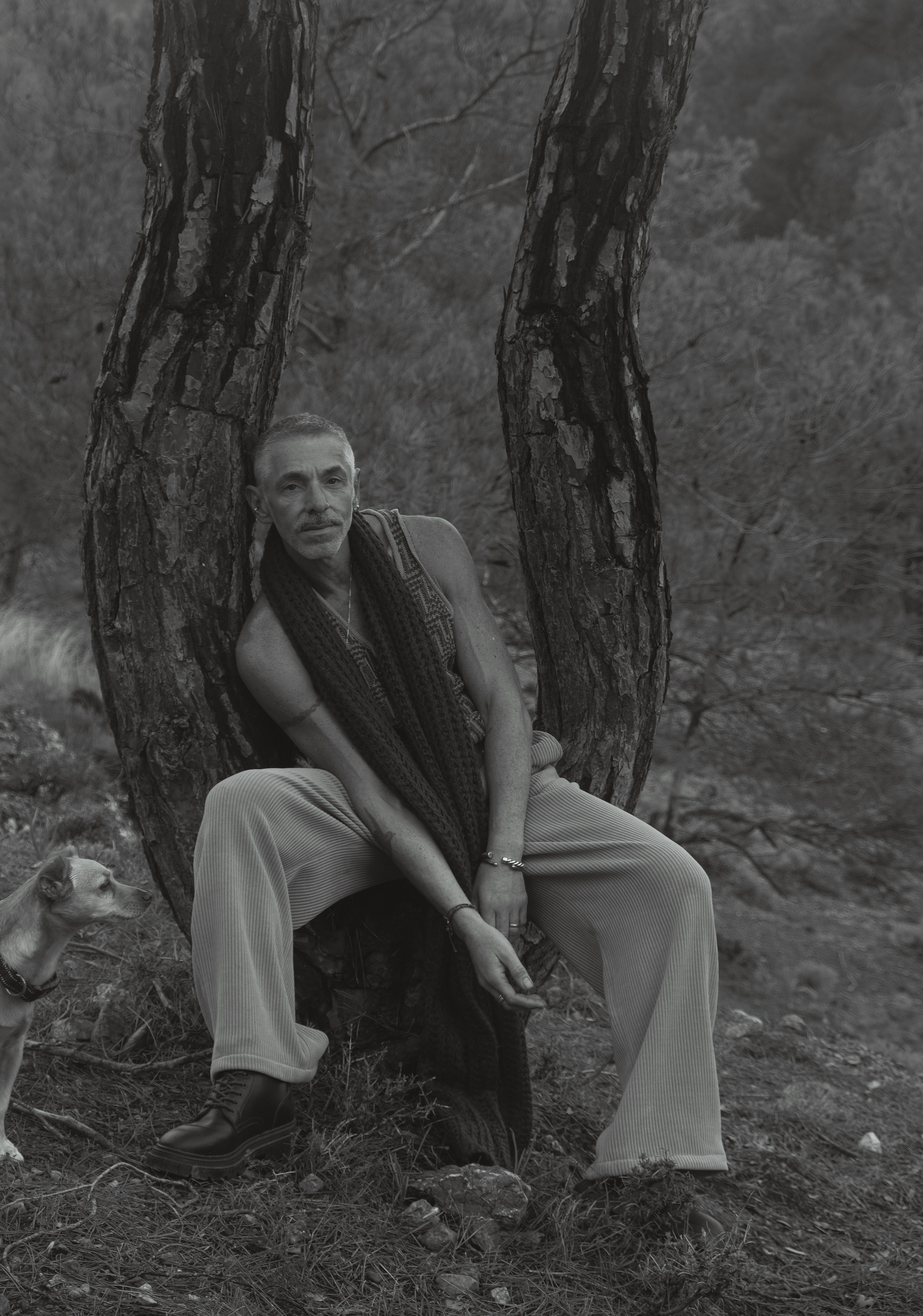 Stillness Between Trees: A Quiet Portrait in Grey