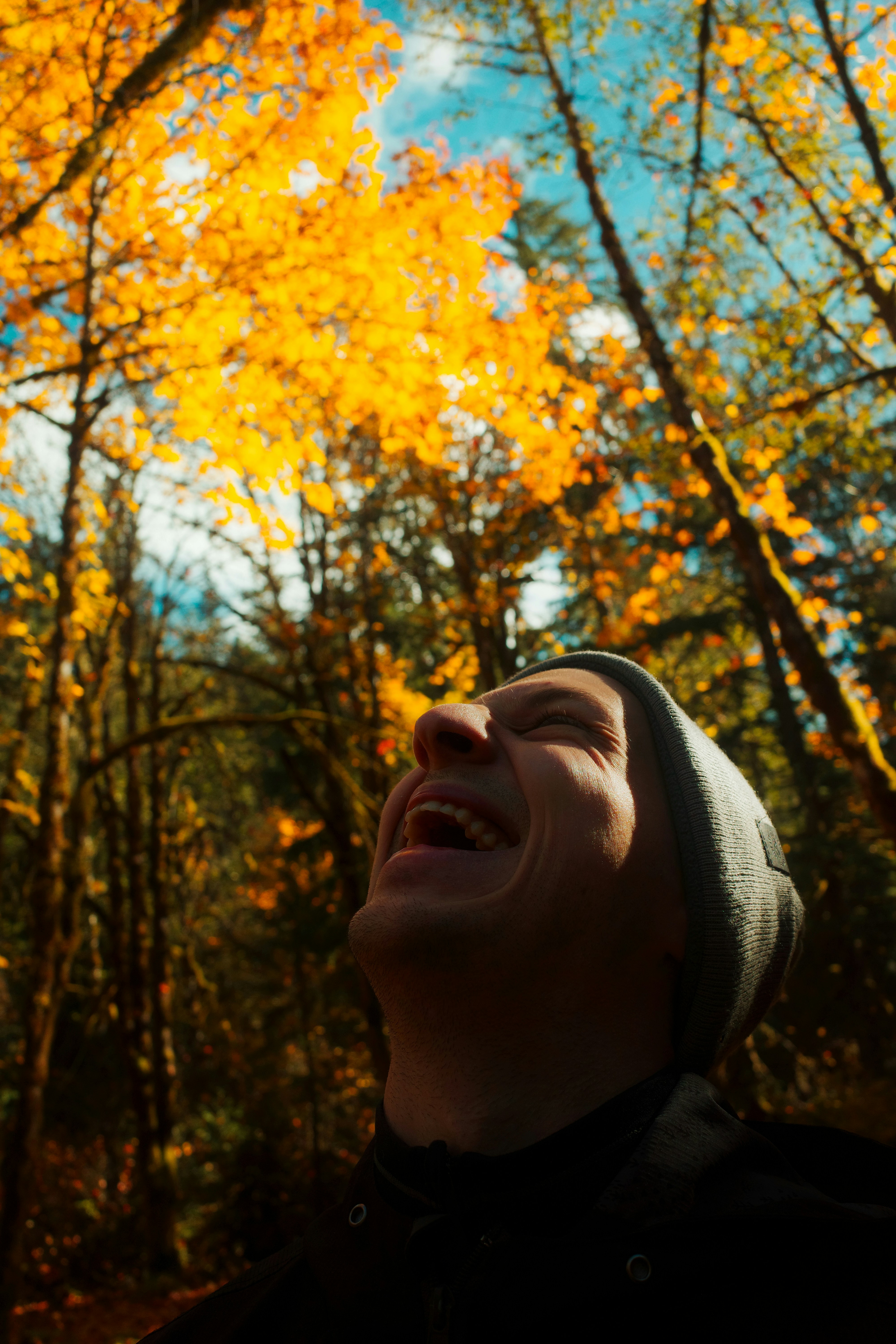 Laughing in the Golden Canopy