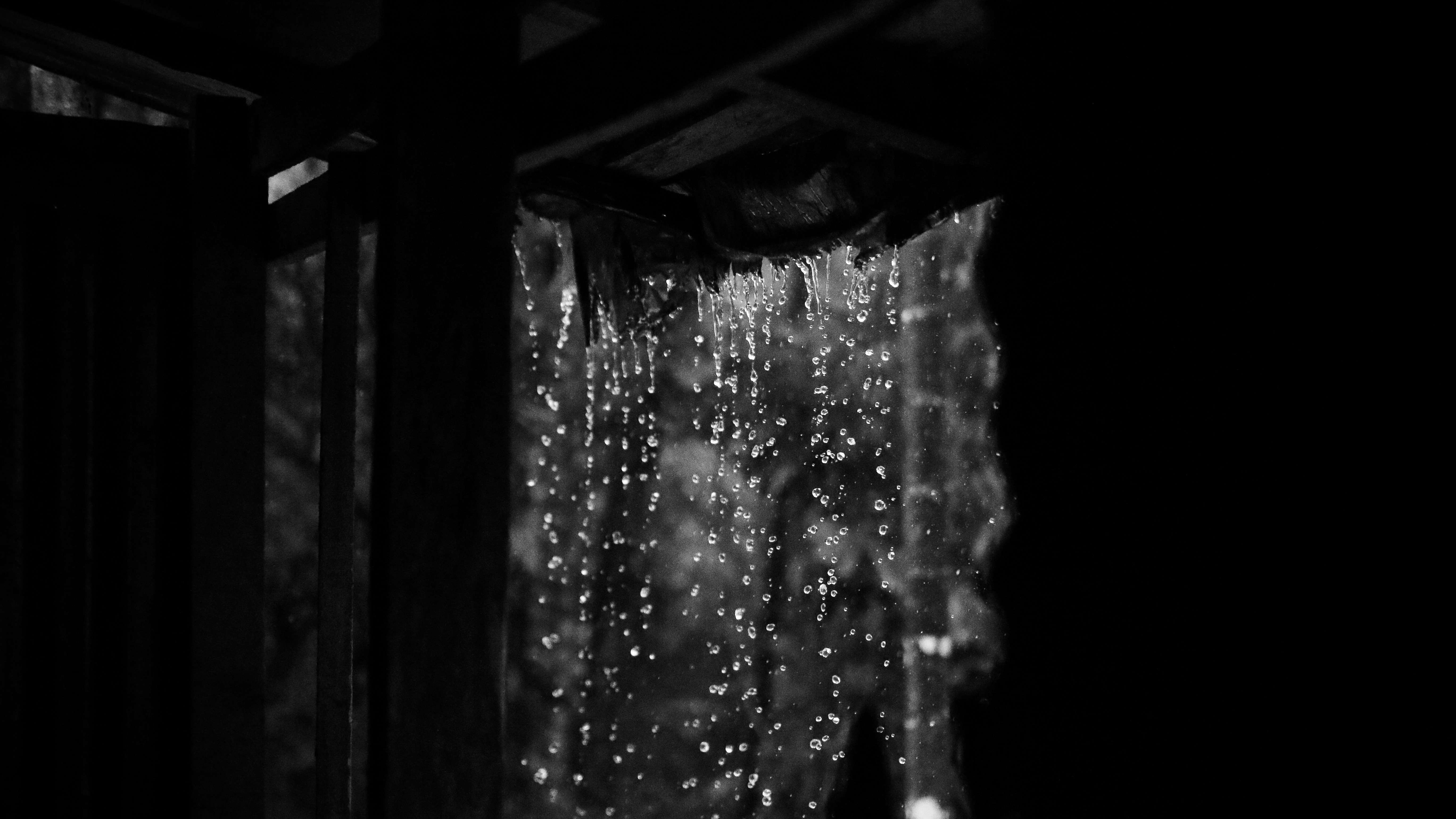 Monsoon Drops on Dark Timber: A Silent Rainfall Scene
