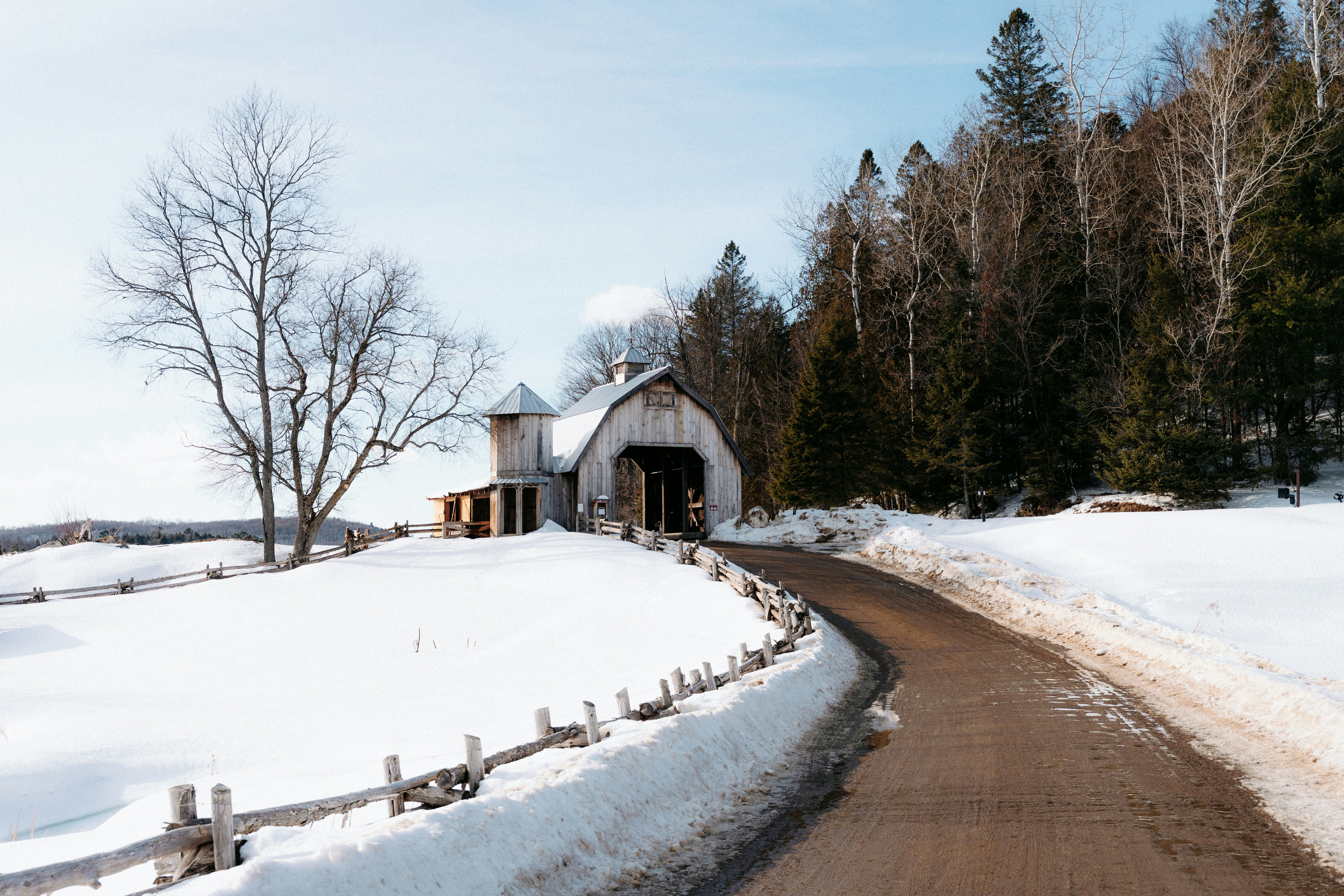 Winter Lane to the Barn