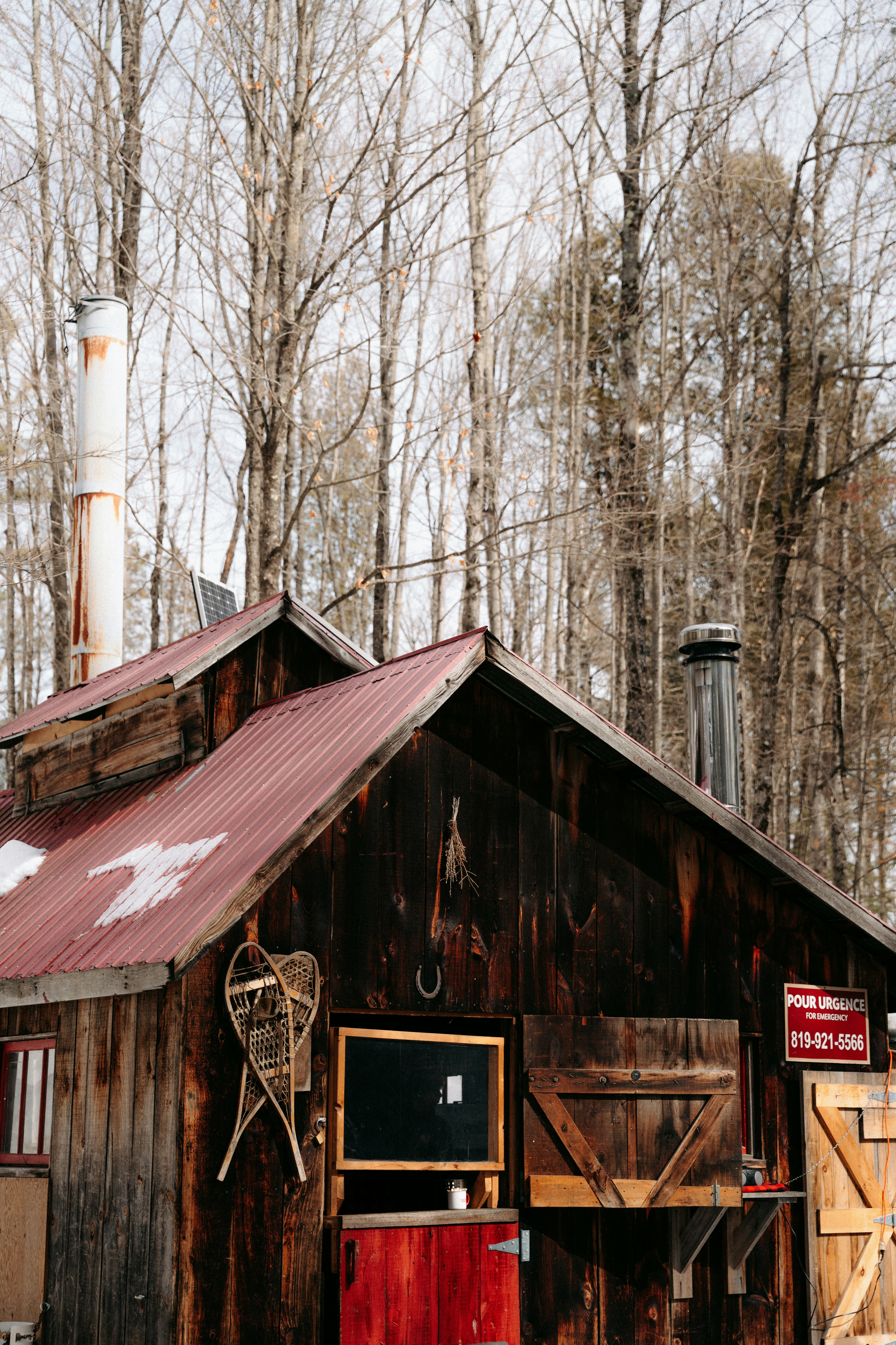 Rustic Cabin Quietly Standing Among Bare Trees