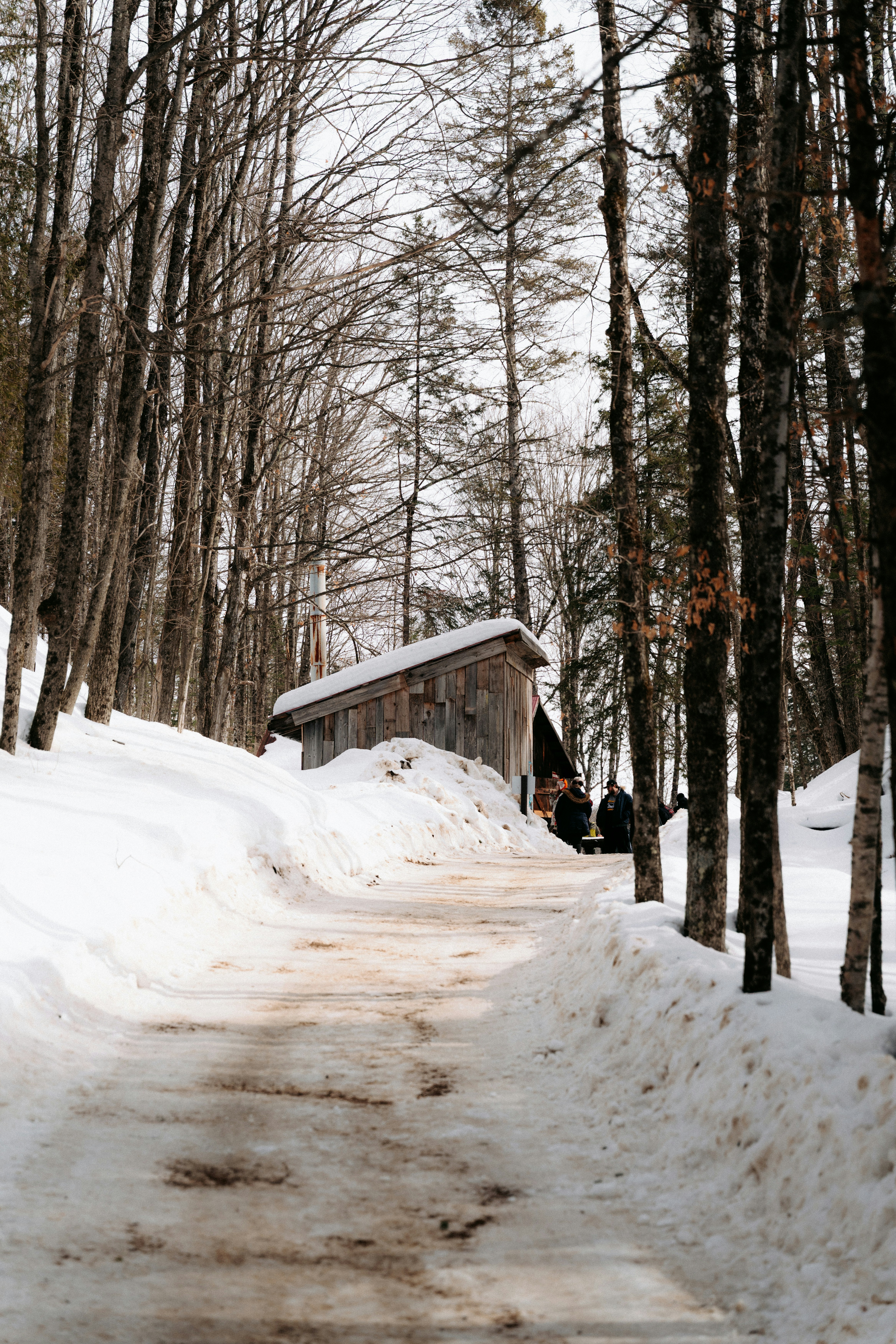 Snow-Curved Path to the Cabin