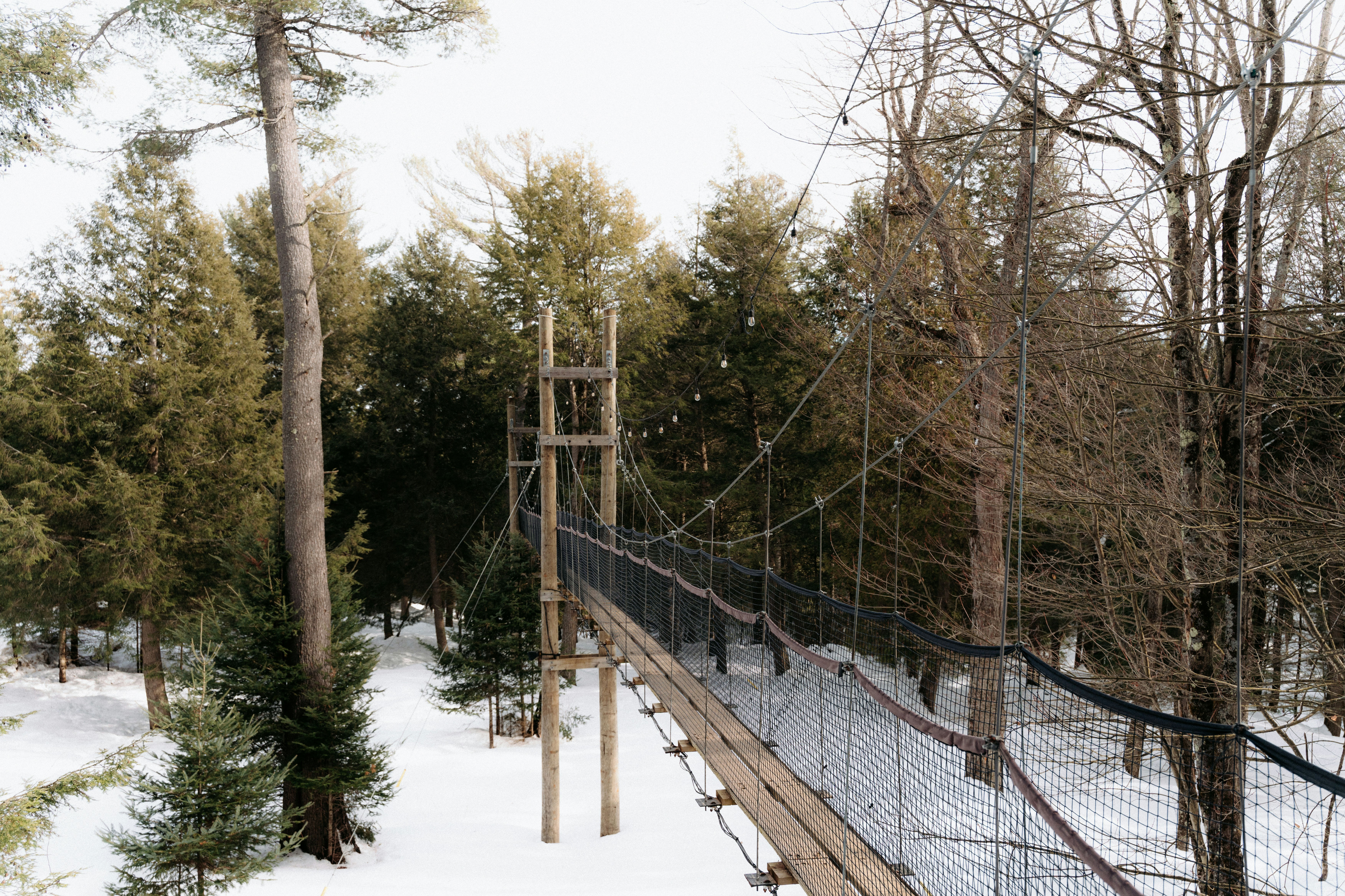 Snowbound Suspension: A Rope Bridge Among Quiet Pines