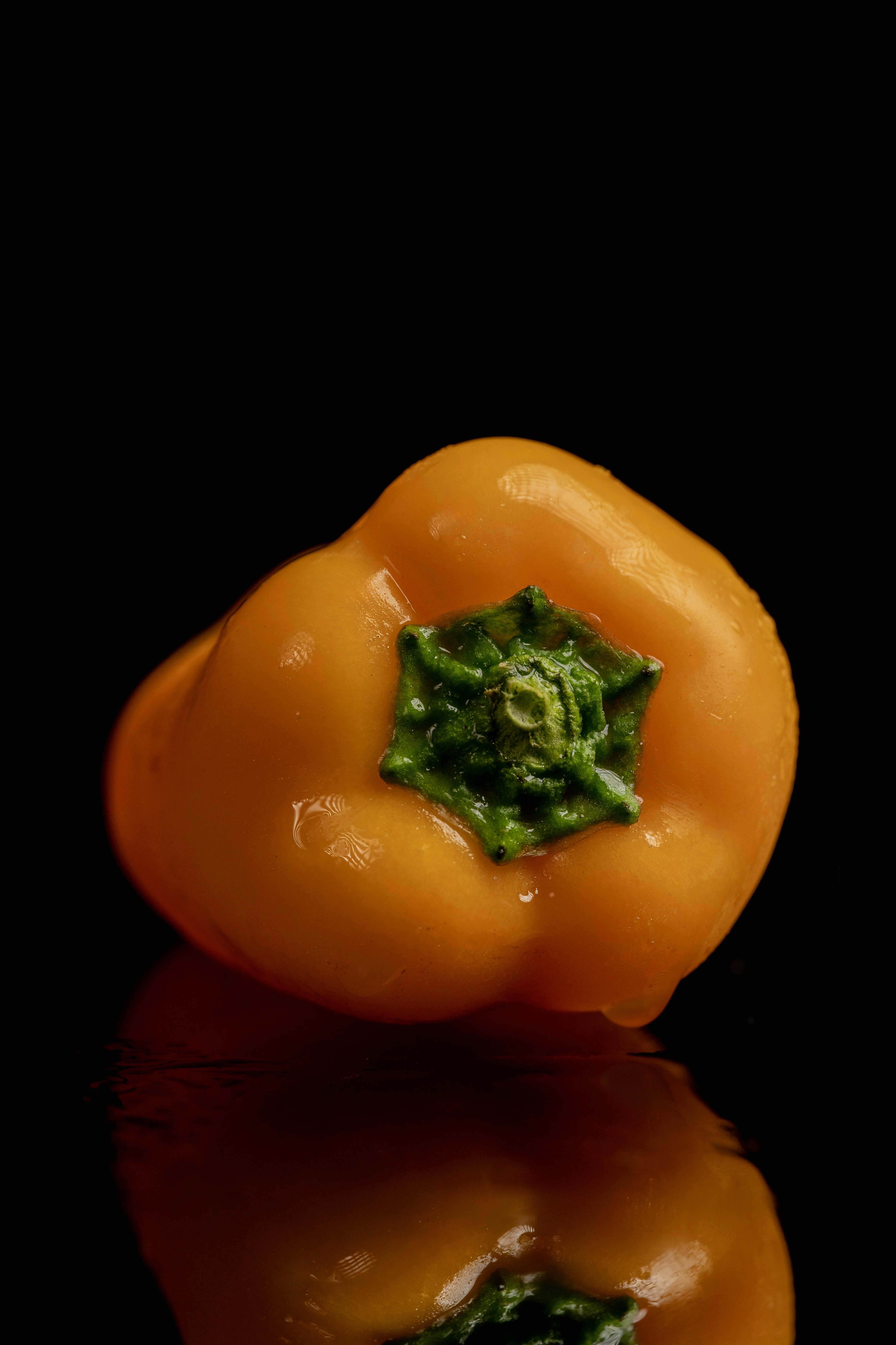 Low Angle Portrait of a Yellow Bell Pepper on Glossy Black