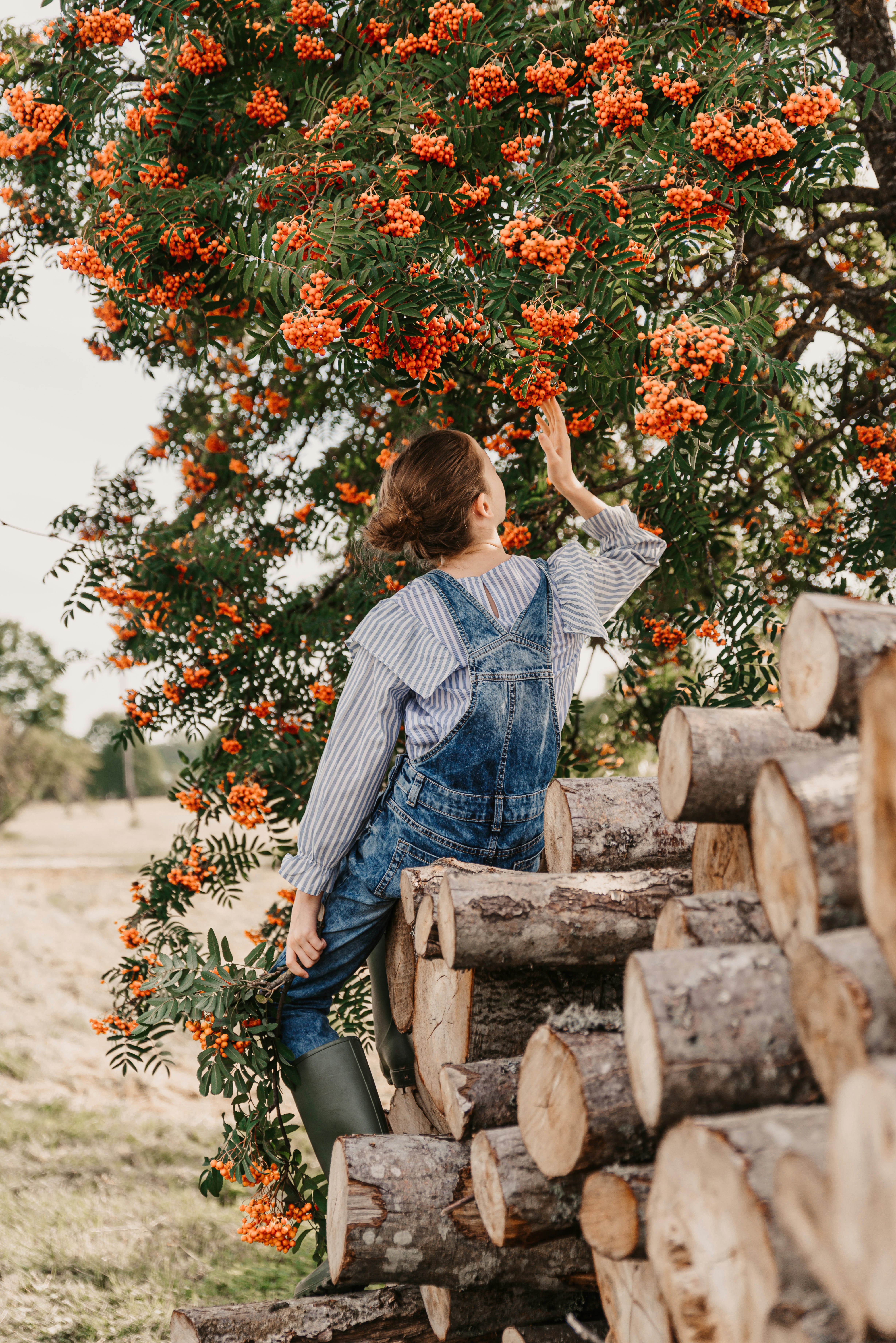 Girl in Denim Overalls Reaches for Orange Blossoms in a Timbered Orchard