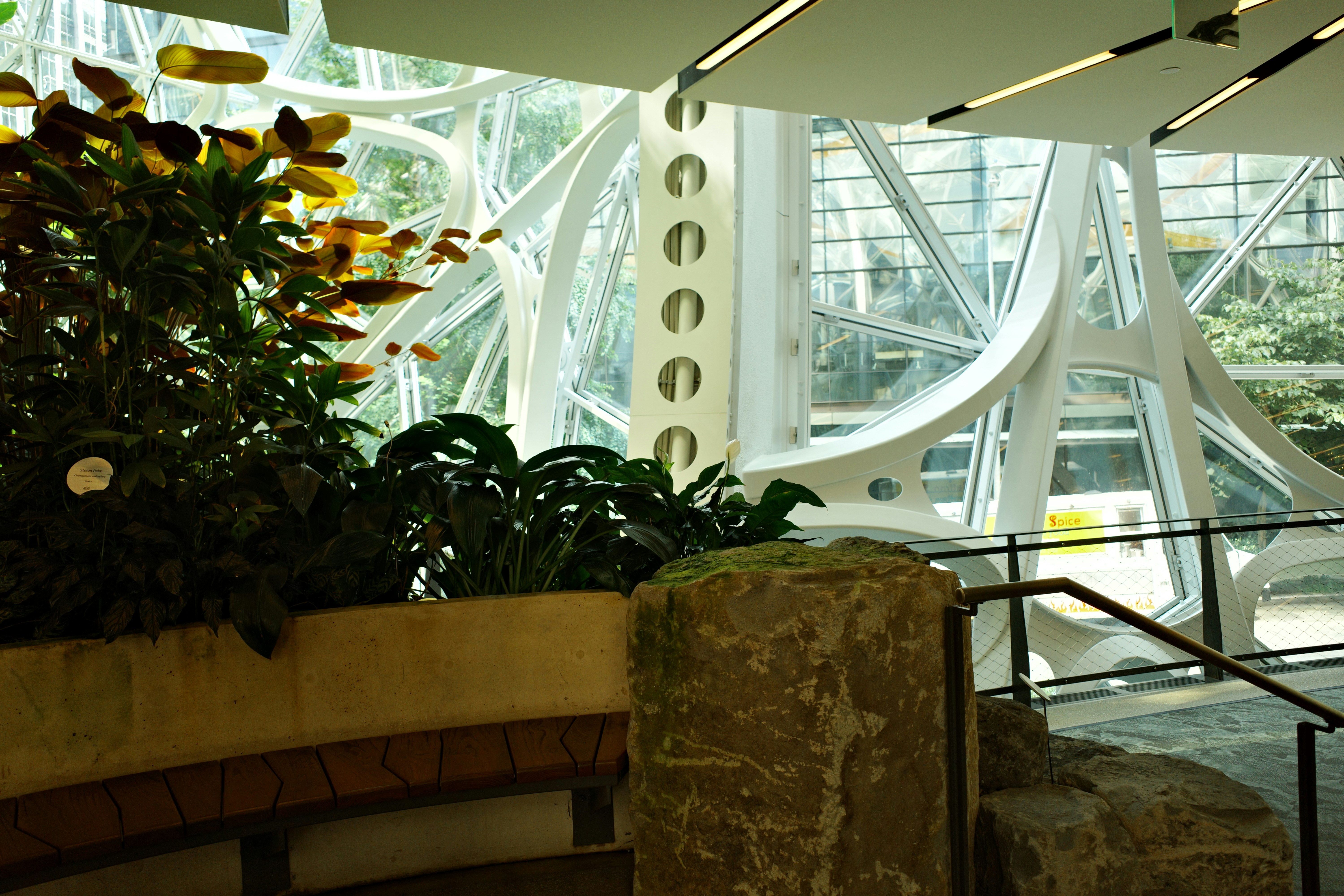 Glass Atrium with Greenery and Curved Architecture