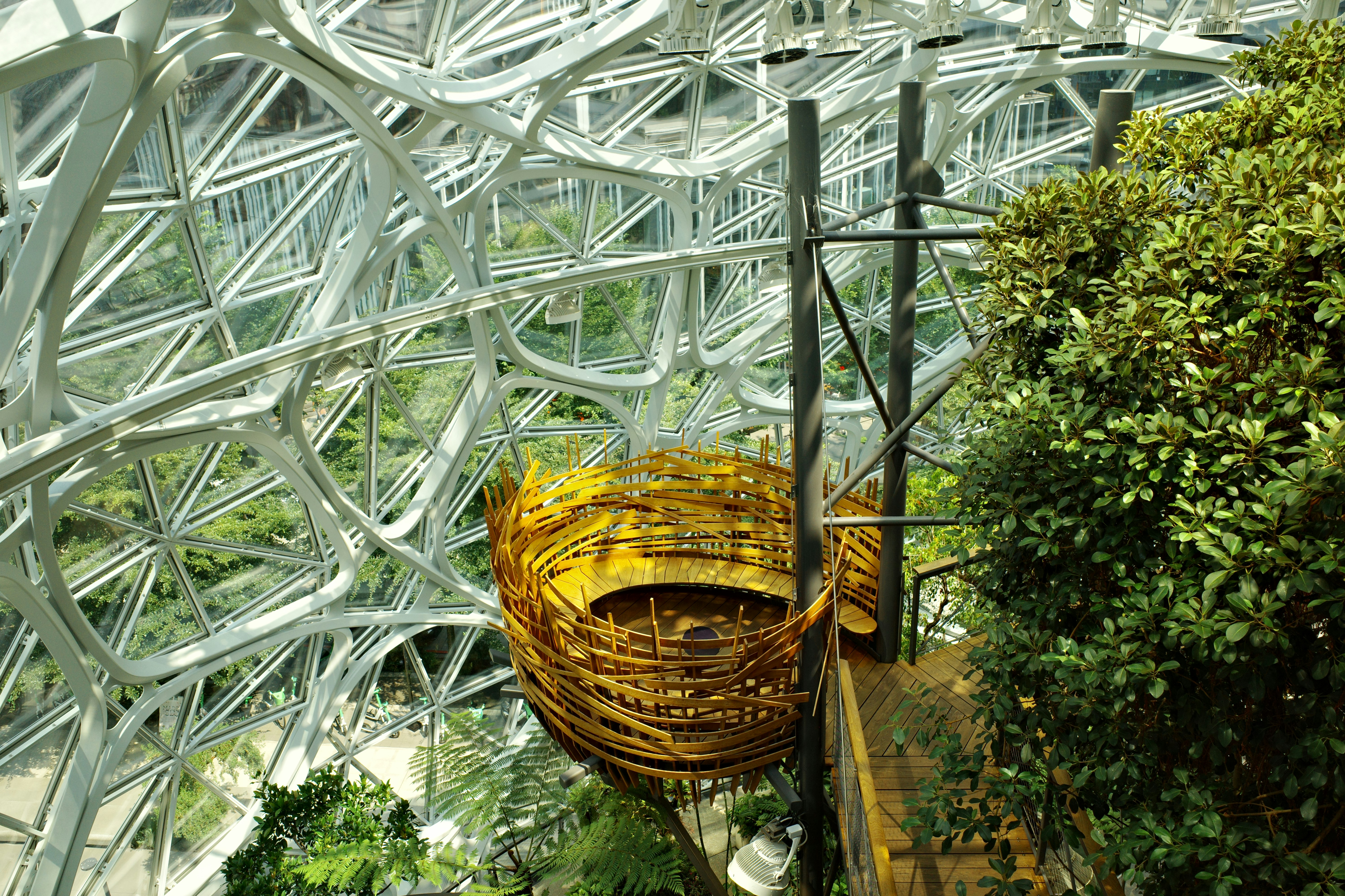 Woven Observation: A Hanging Basket Within a Lattice Garden Atrium