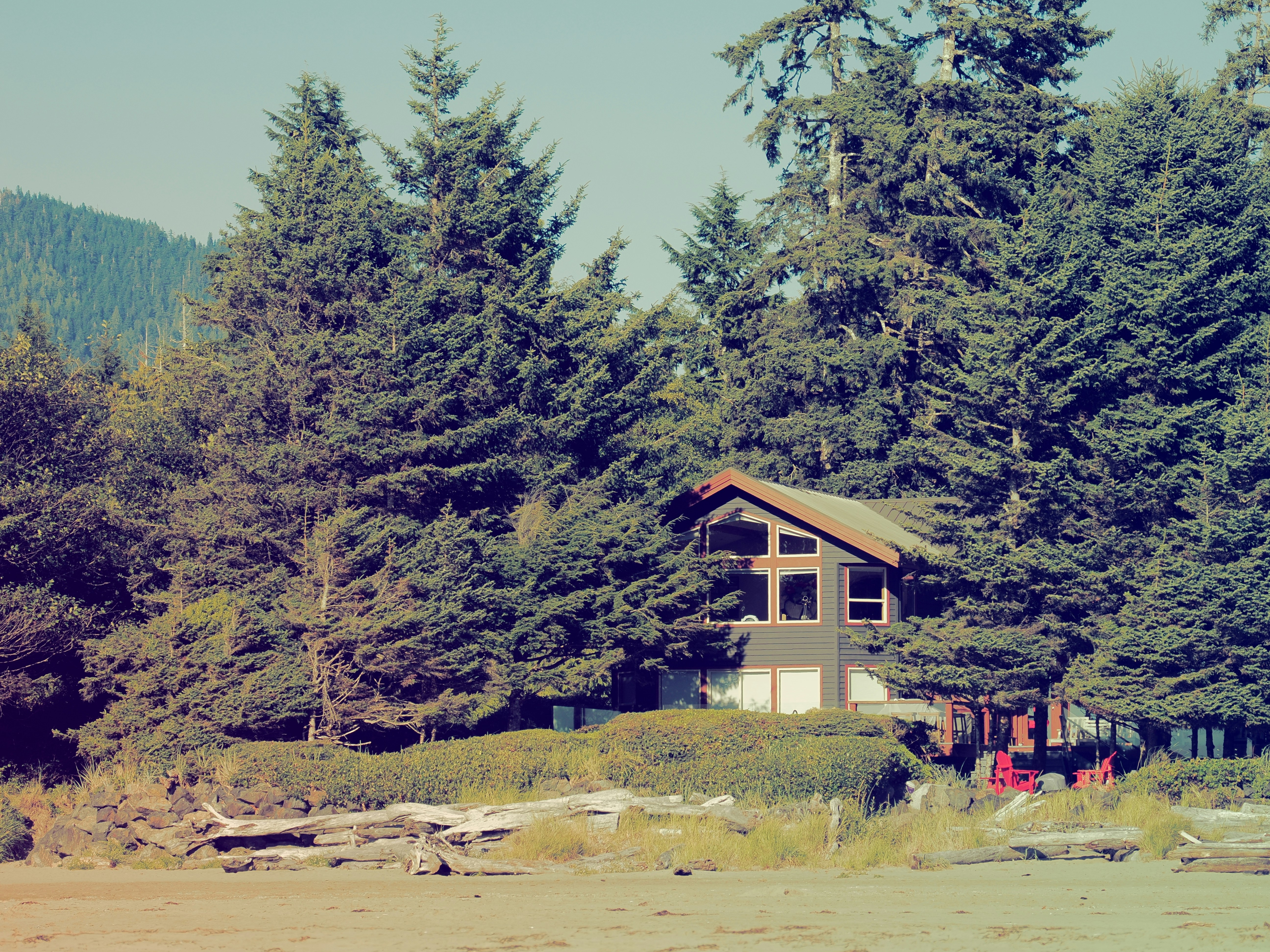 Secluded Cabin Nestled in Pines