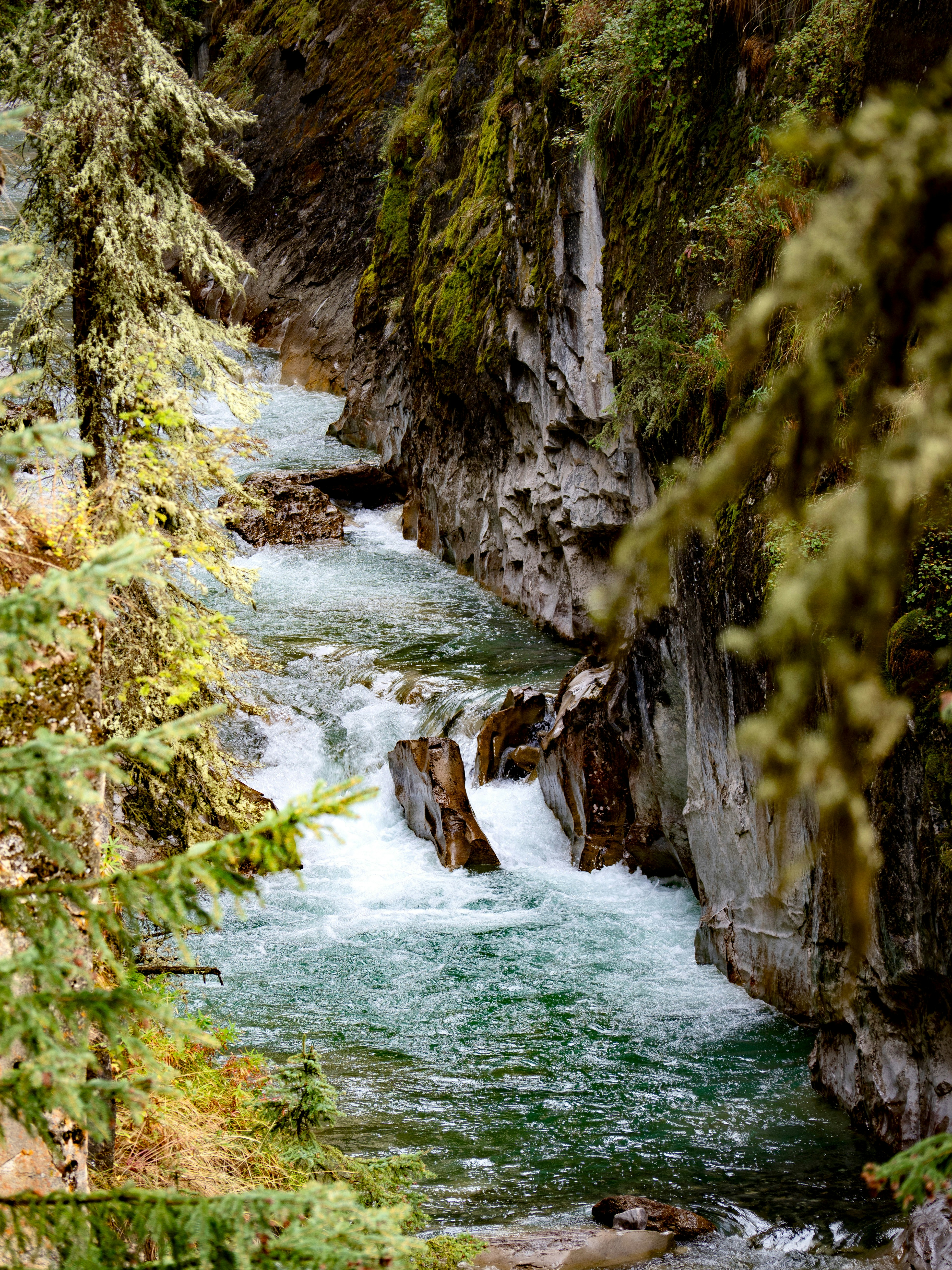 Rushing Gorge: A Verdant River Carves Through Mossy Cliffs