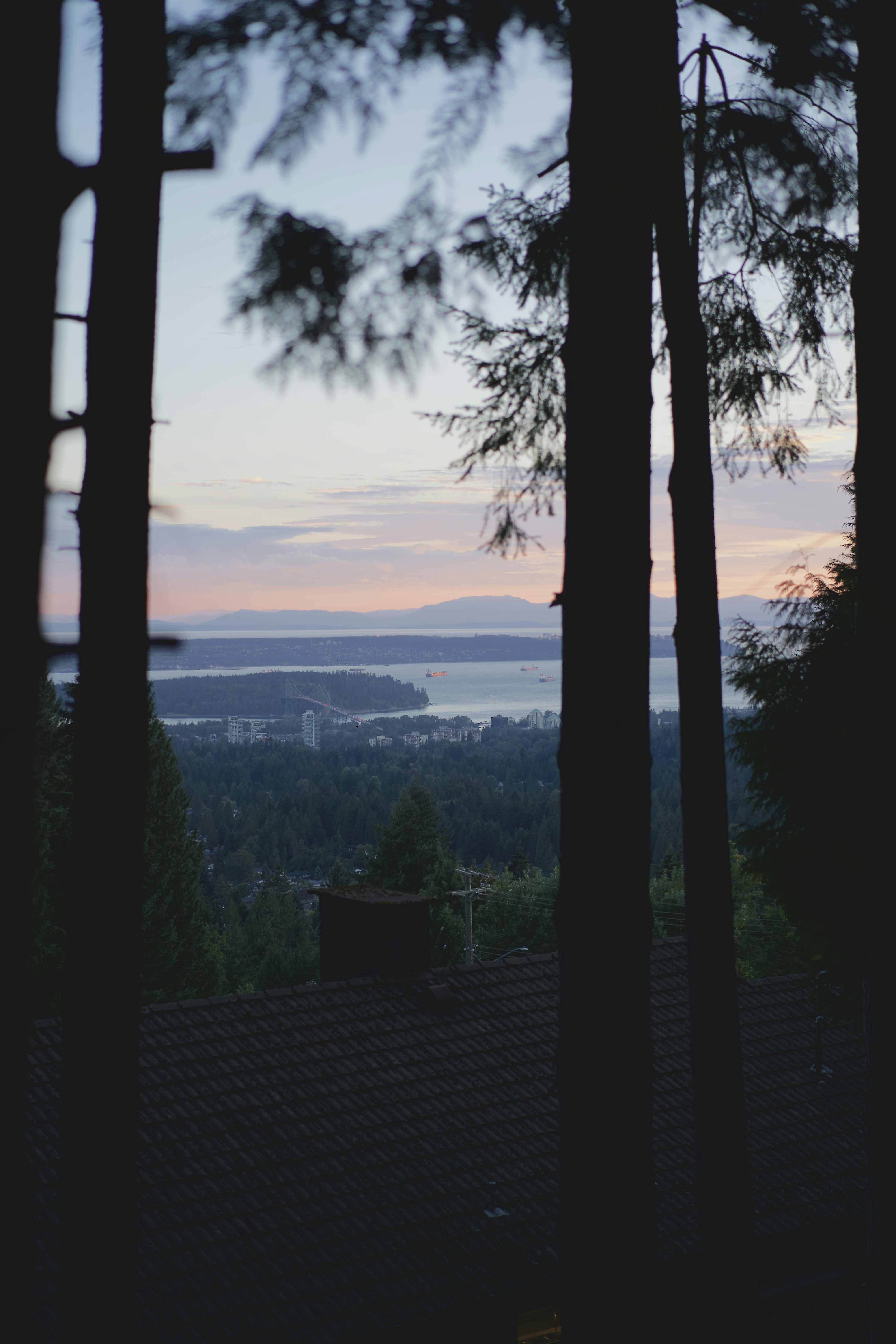Forest Framed Sunset Over Lake City