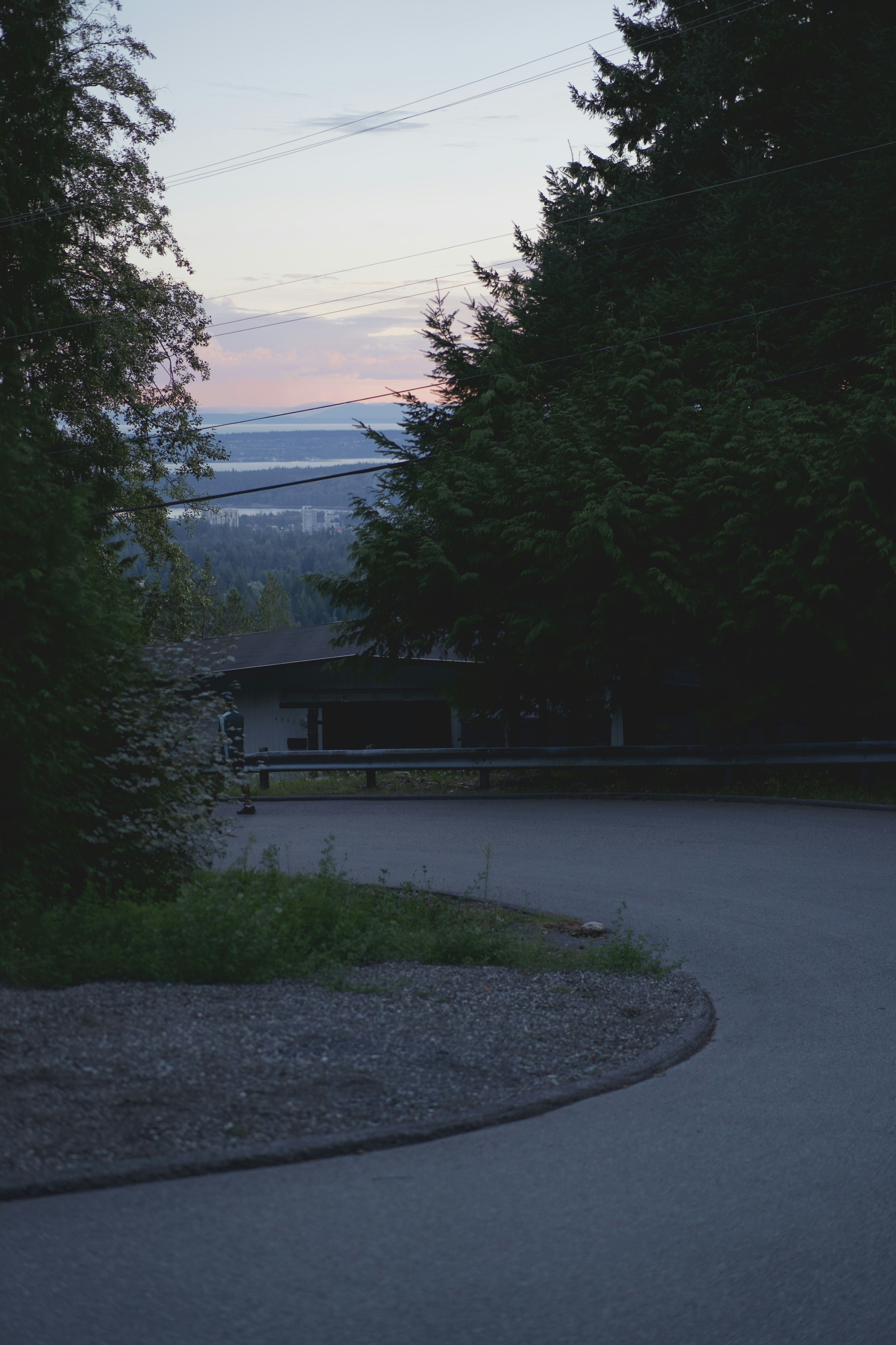 Road Bend Through Forested Vista at Dusk