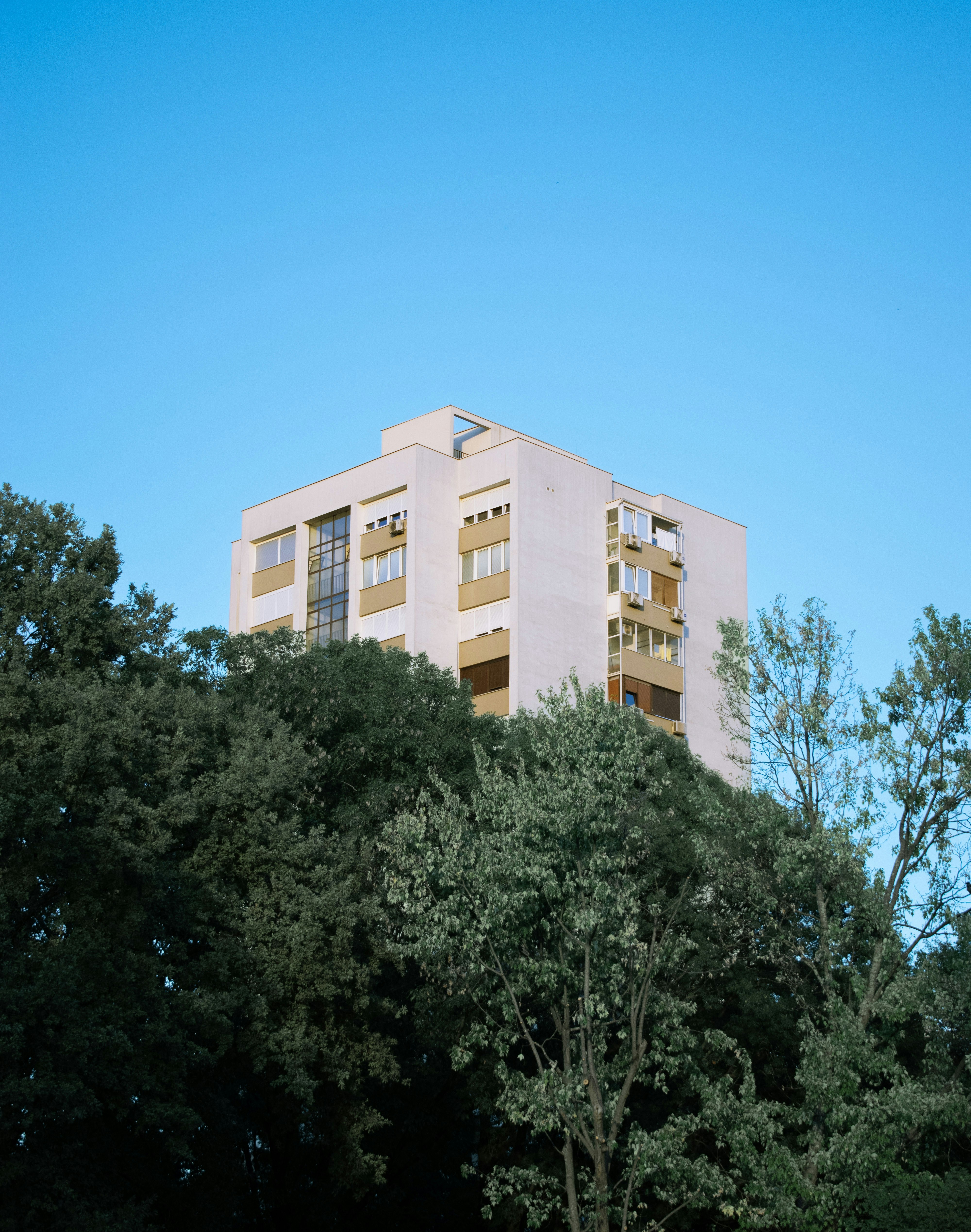 A pale modern building rises above dense green trees under a bright blue sky, visible from a low perspective.