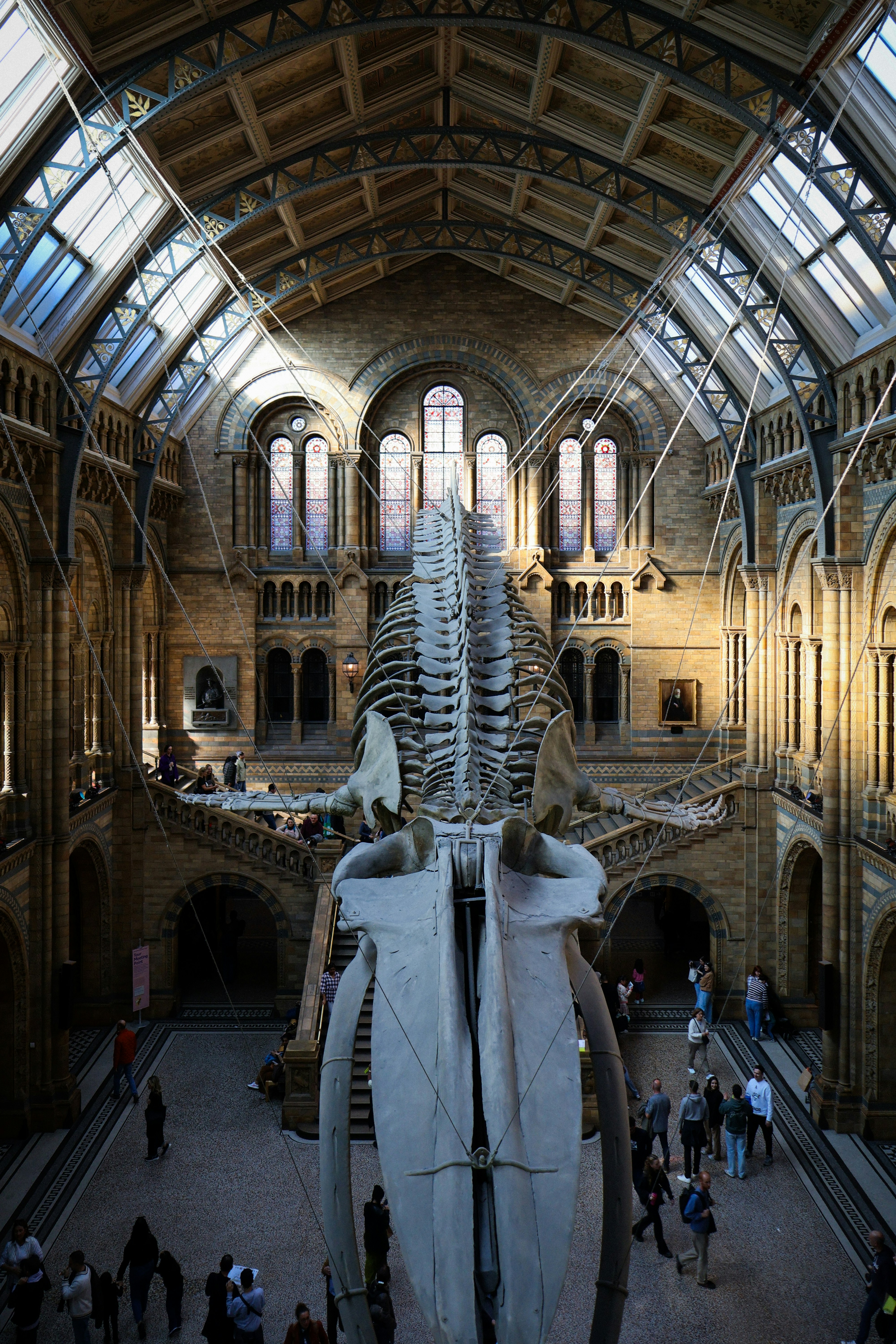 Industrial-era hall housing a monumental whale skeleton, viewed from a central atrium with visitors nearby; stone arches, tall stained-glass windows, and overhead rigging highlight the dramatic display.