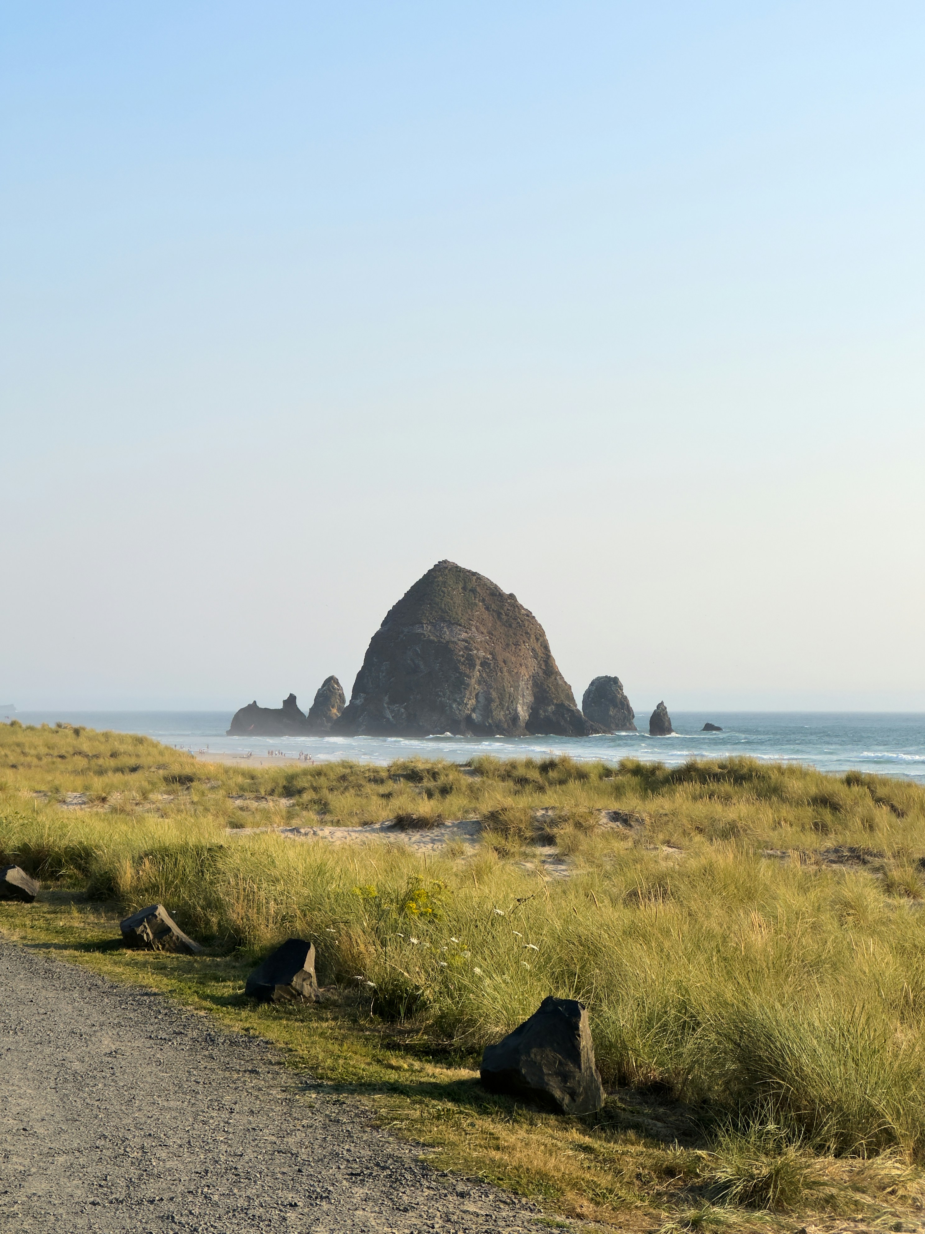 Coastal scene with a prominent rocky island offshore, grassy foreground, and calm sea under a clear sky.