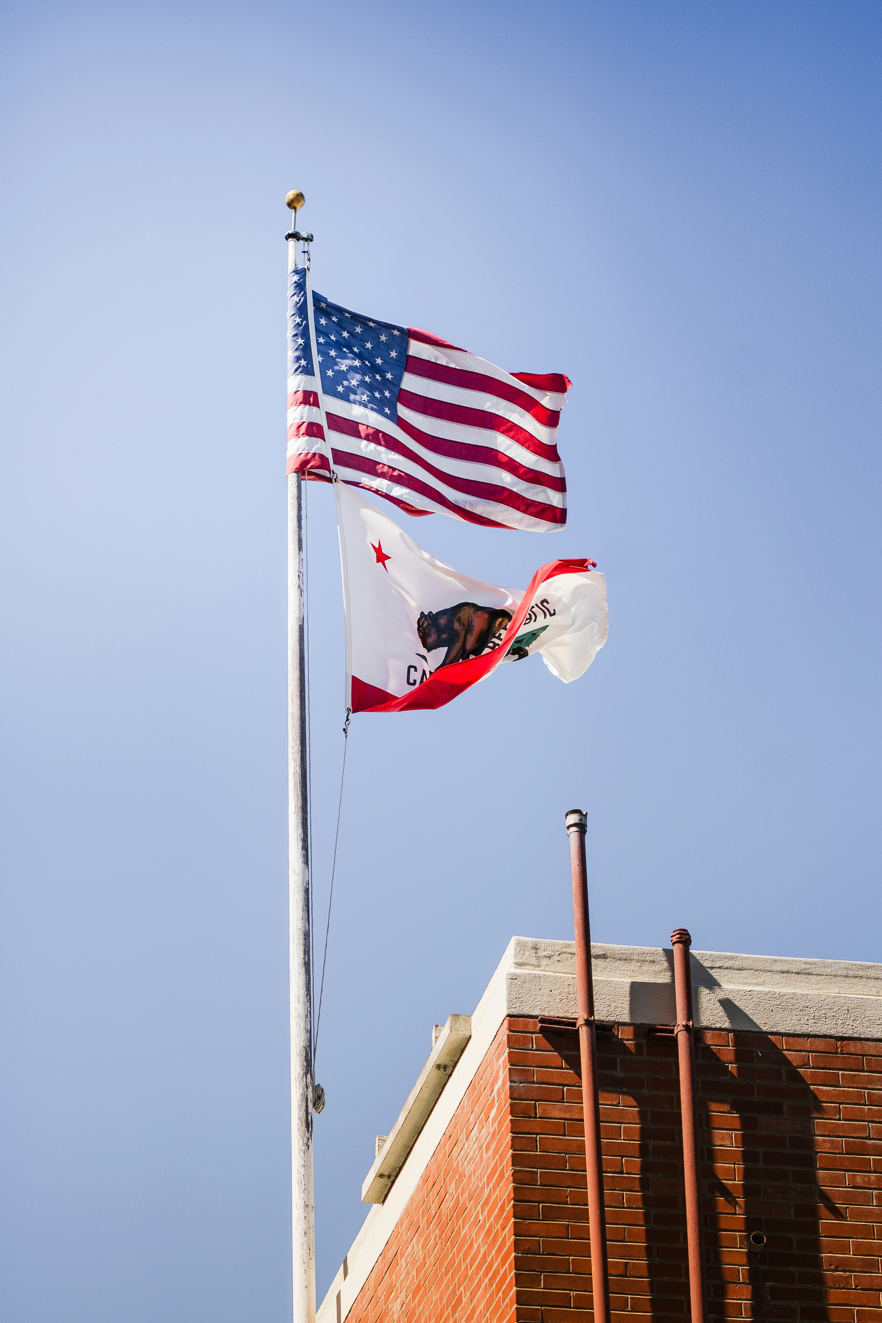 Rising Flags Against a Clear Sky