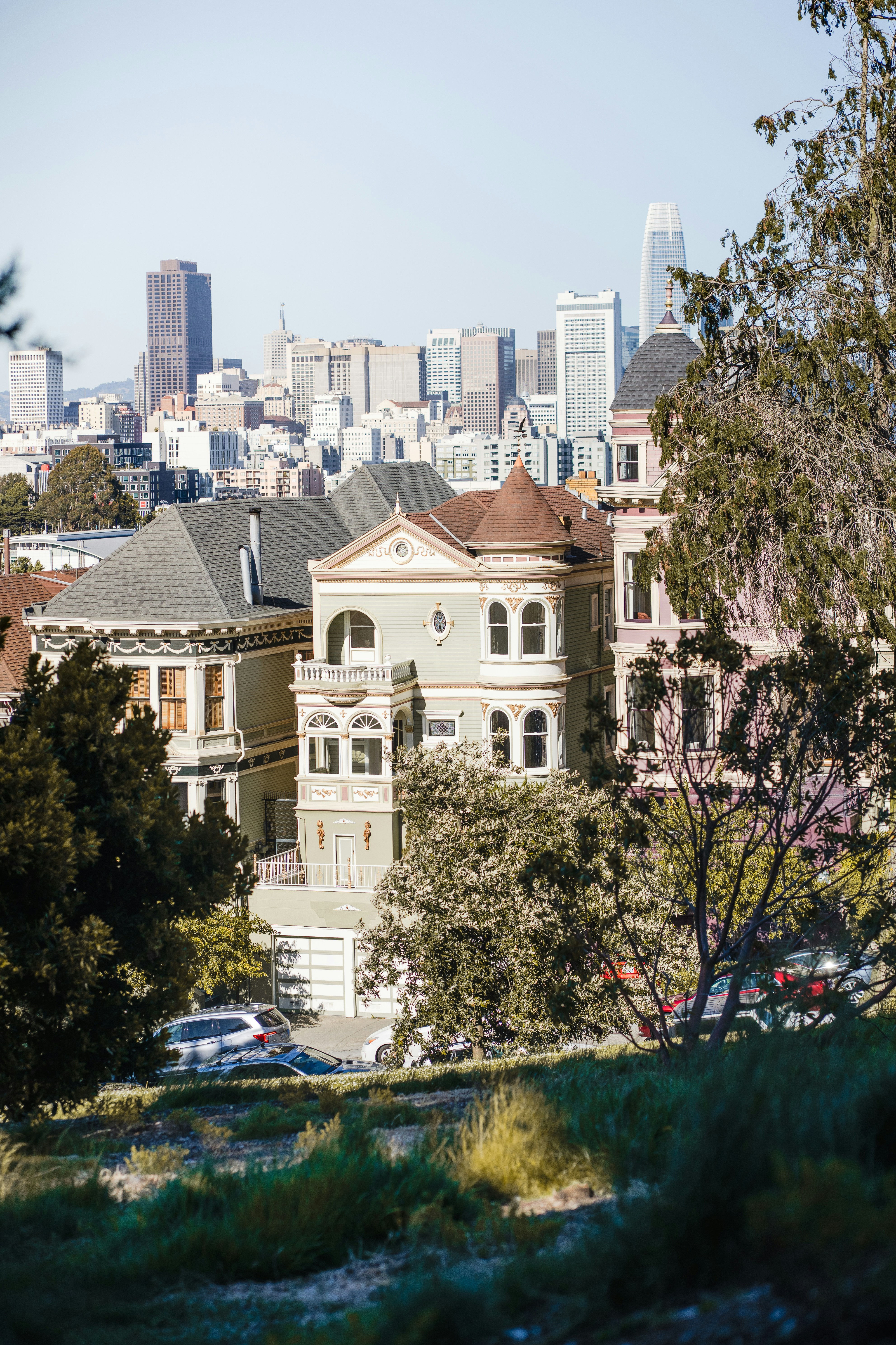Row of Painted Ladies with San Francisco Skyline