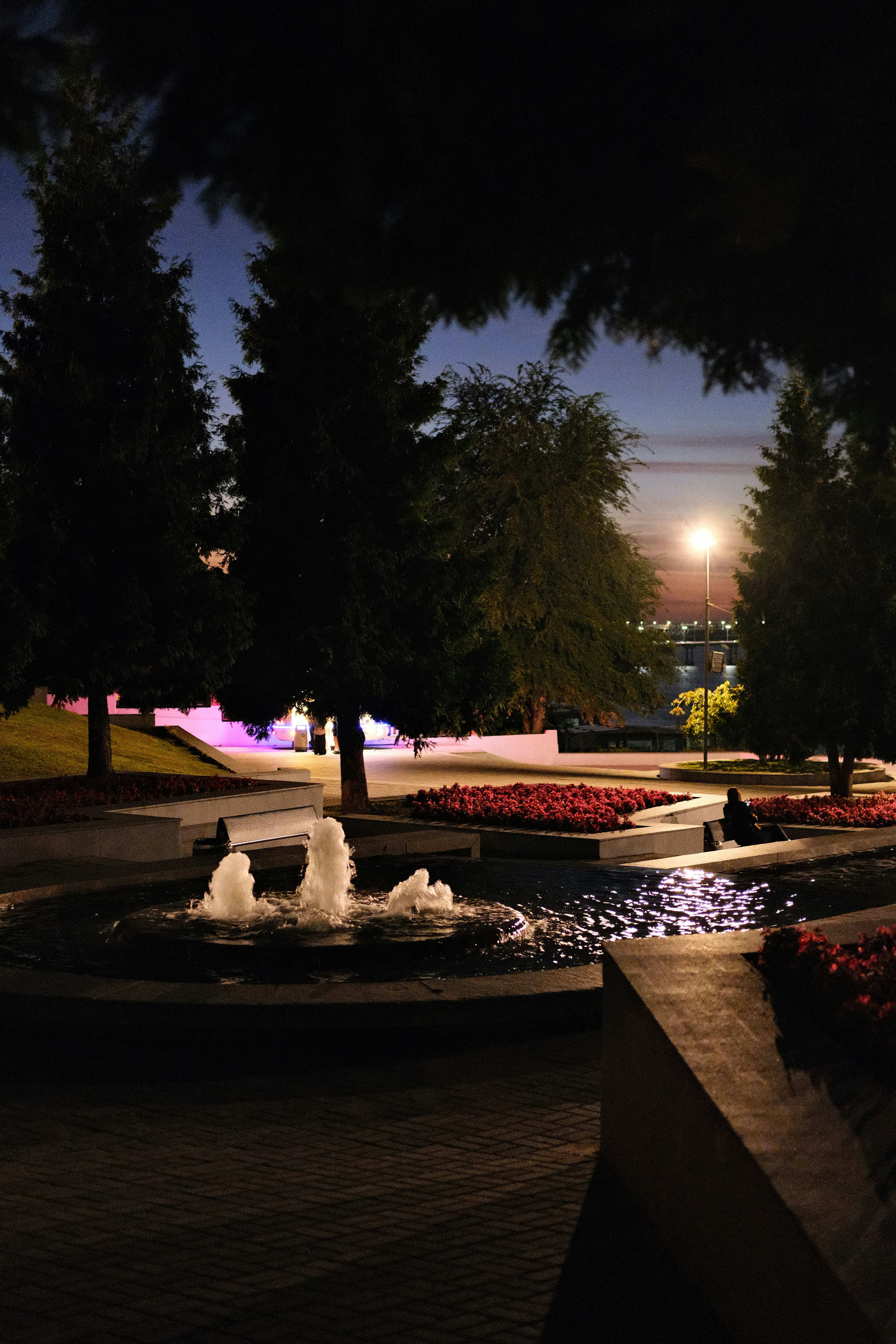 A cozy evening scene at the observation deck in Taras Shevchenko Park, Dnipro, Ukraine, featuring a lit fountain, red flowerbeds, and silhouettes of trees against a sunset sky