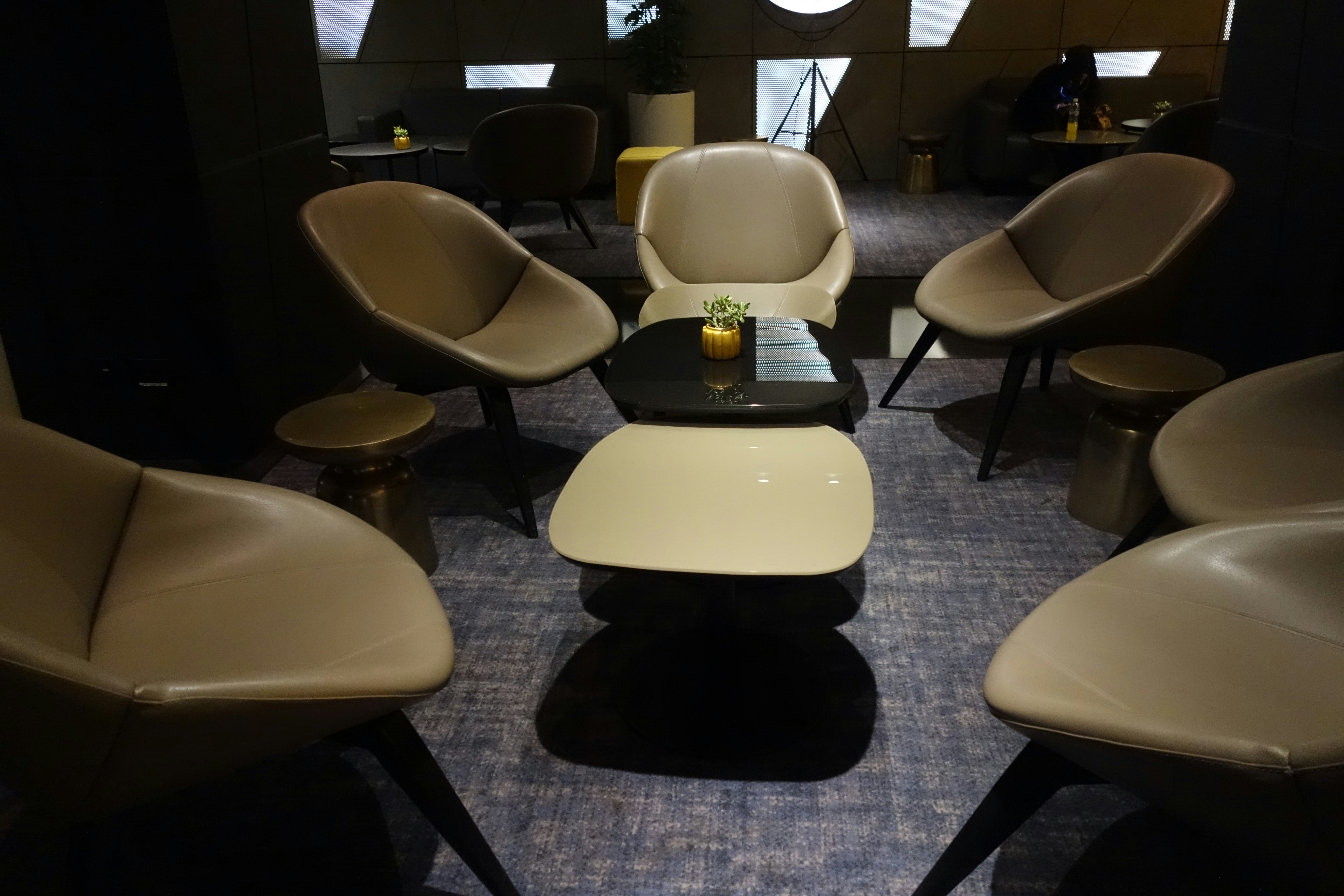Central Lounge: A Quiet Circle of Comfort