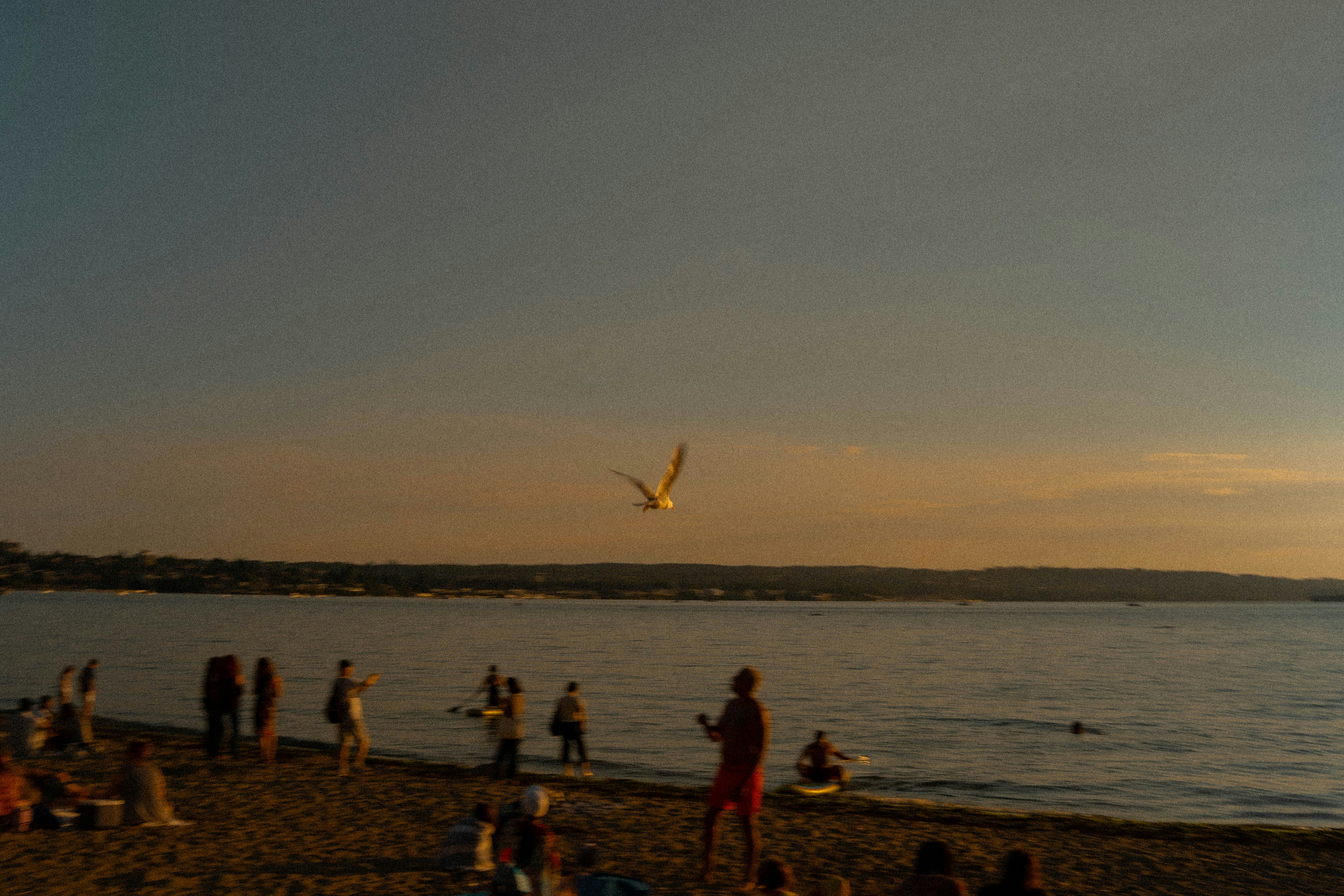 Liftoff Over a Dusk Beach gathering