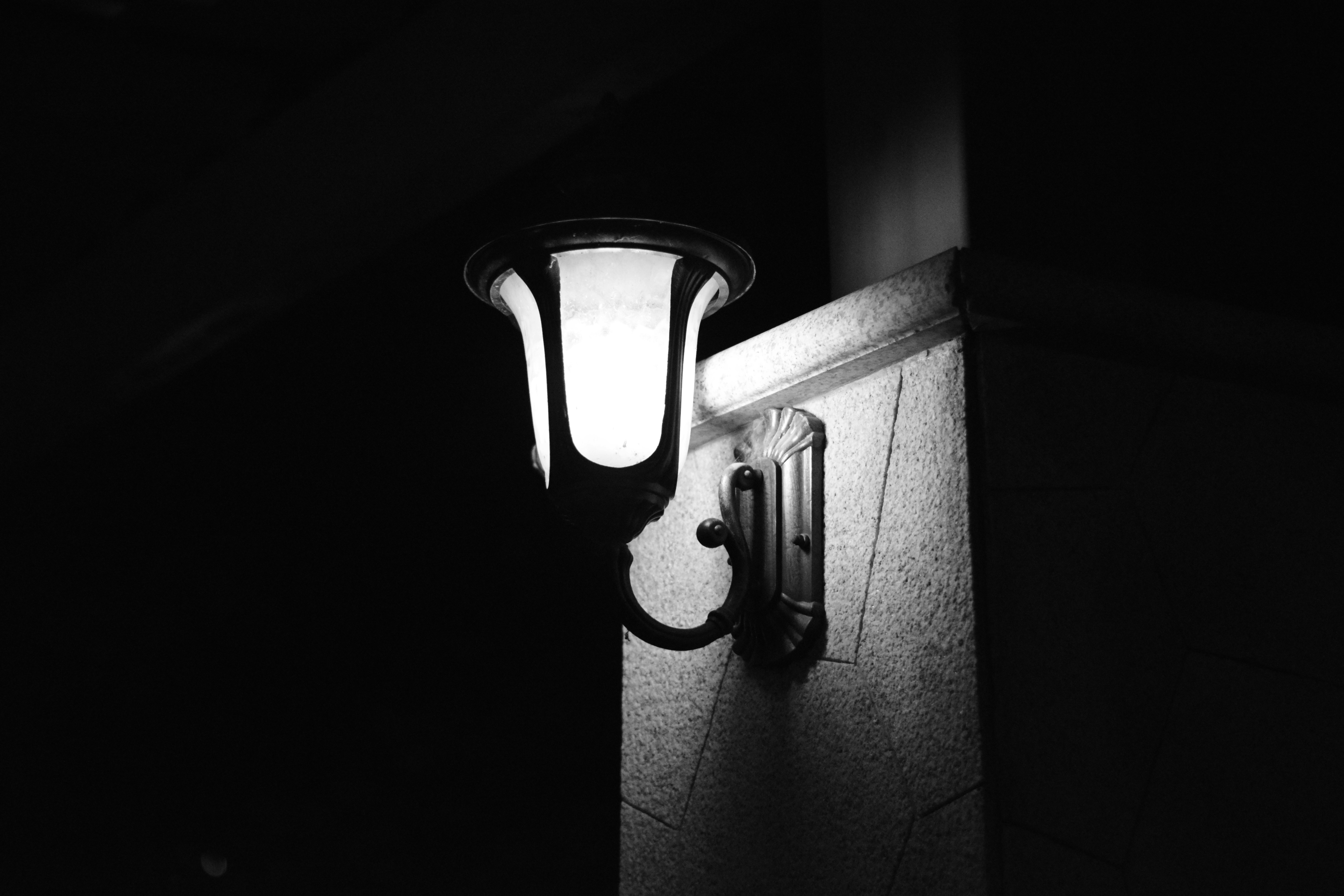 Night Bloom: A Dim Lantern on a Quiet Wall