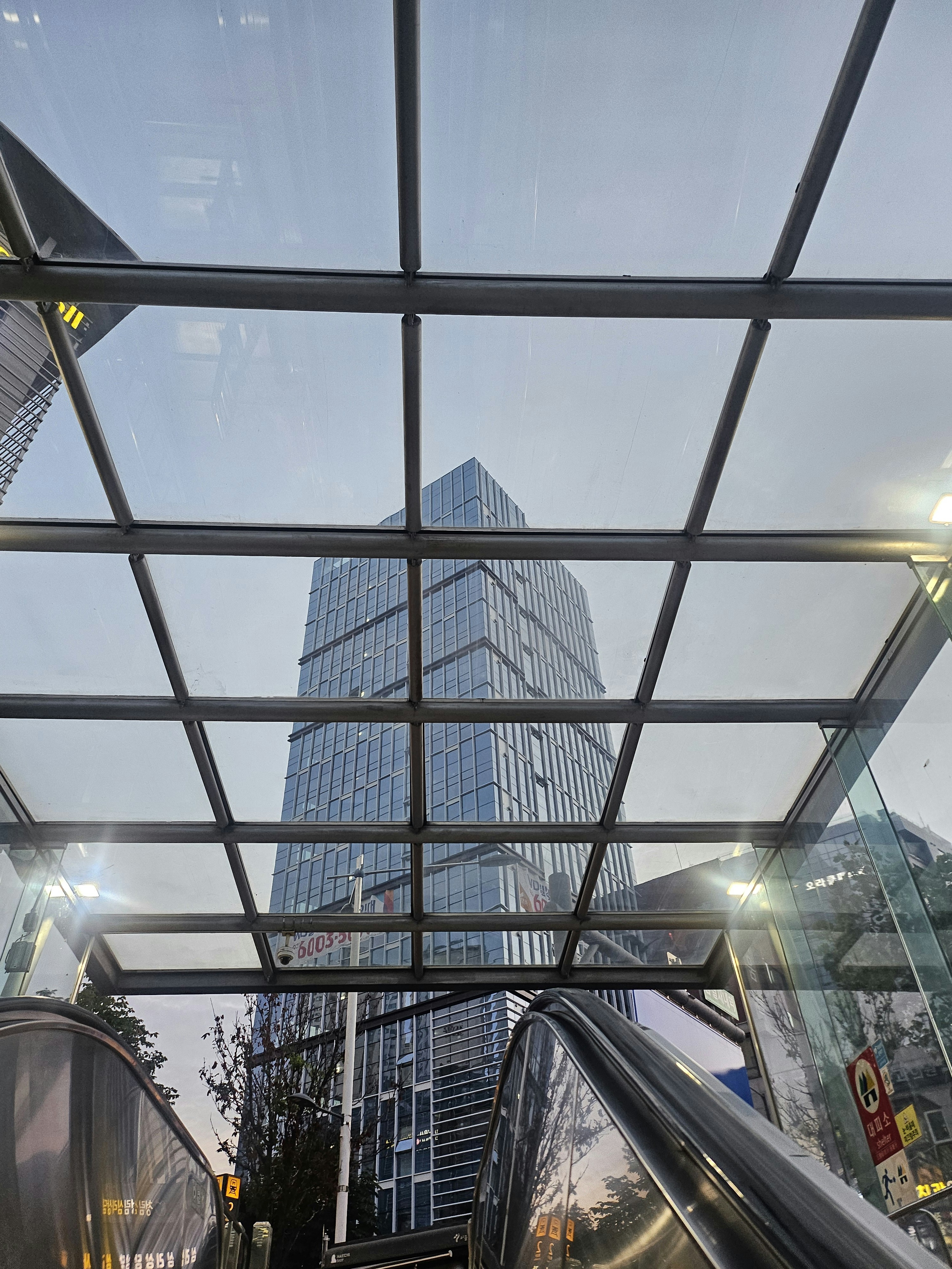 Skyscraper Rising Through a Glass Canopy