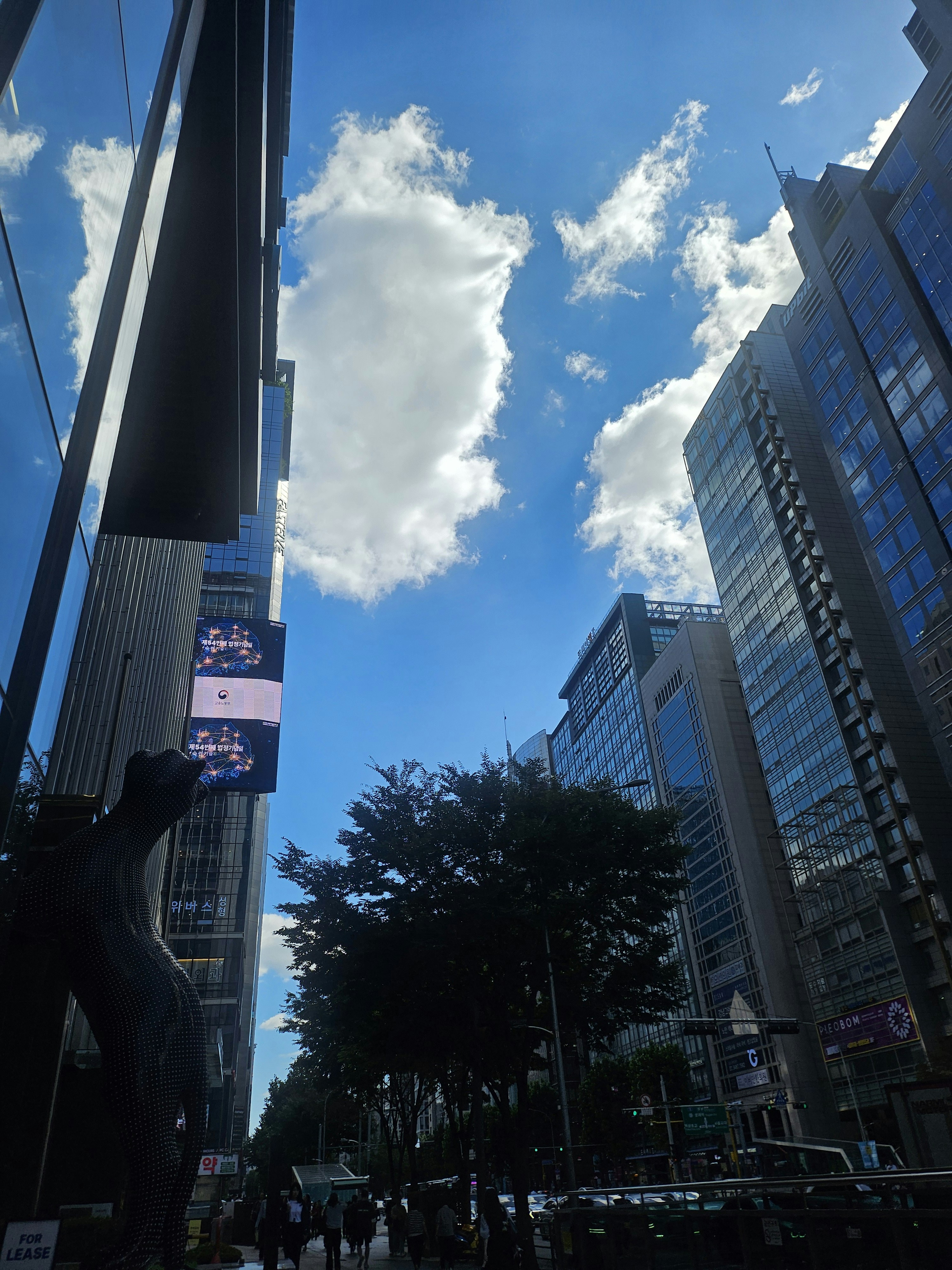 Vertical Cityscape: Skyscrapers, Sky, and a Luscious Skyward Moment