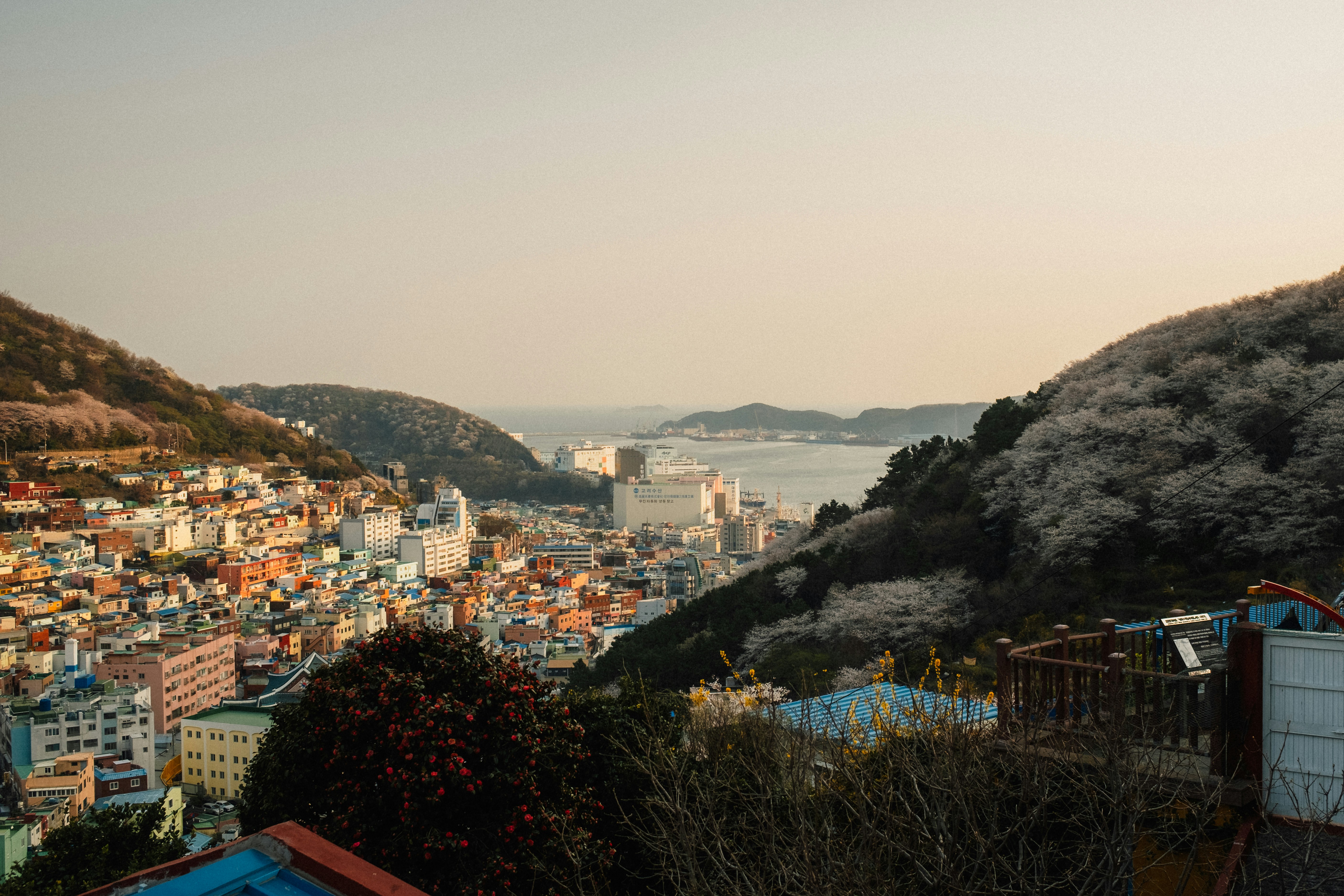 Sunlit valley overlooking a colorful coastal city