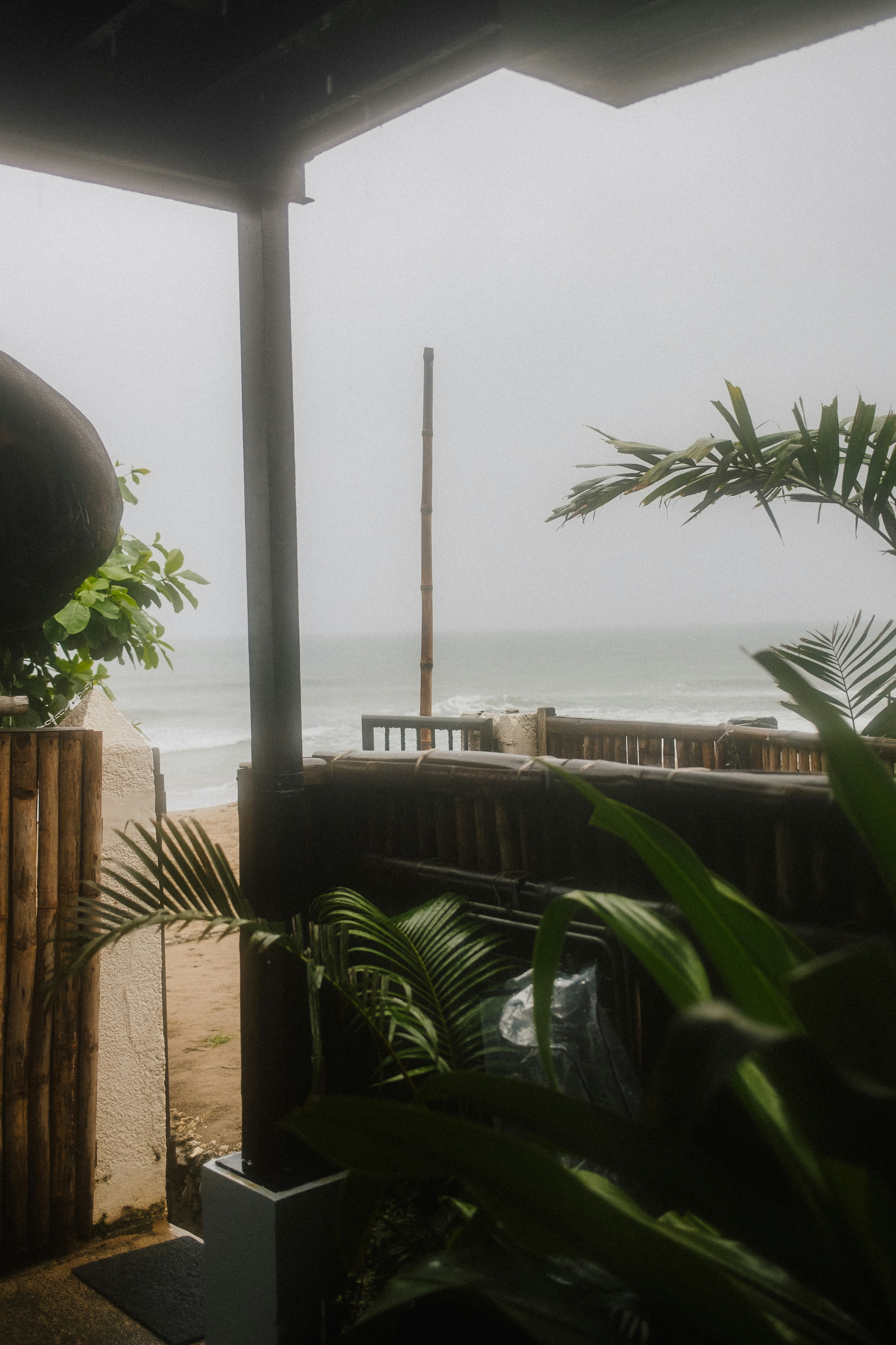 A view of a misty beach from a bamboo patio with palm plants