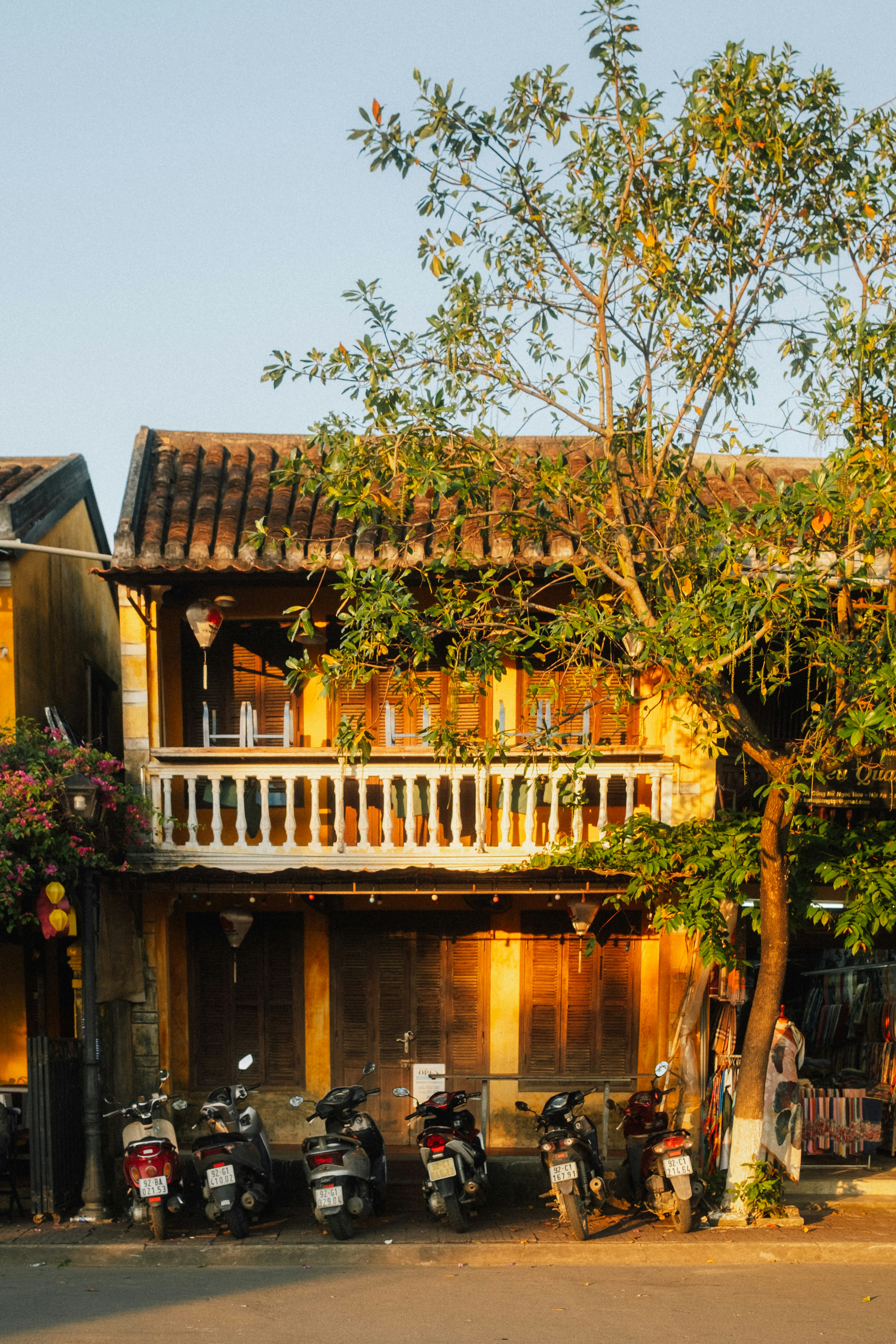 Sunlit Colonial Café Façade Framed by a Lush Tree