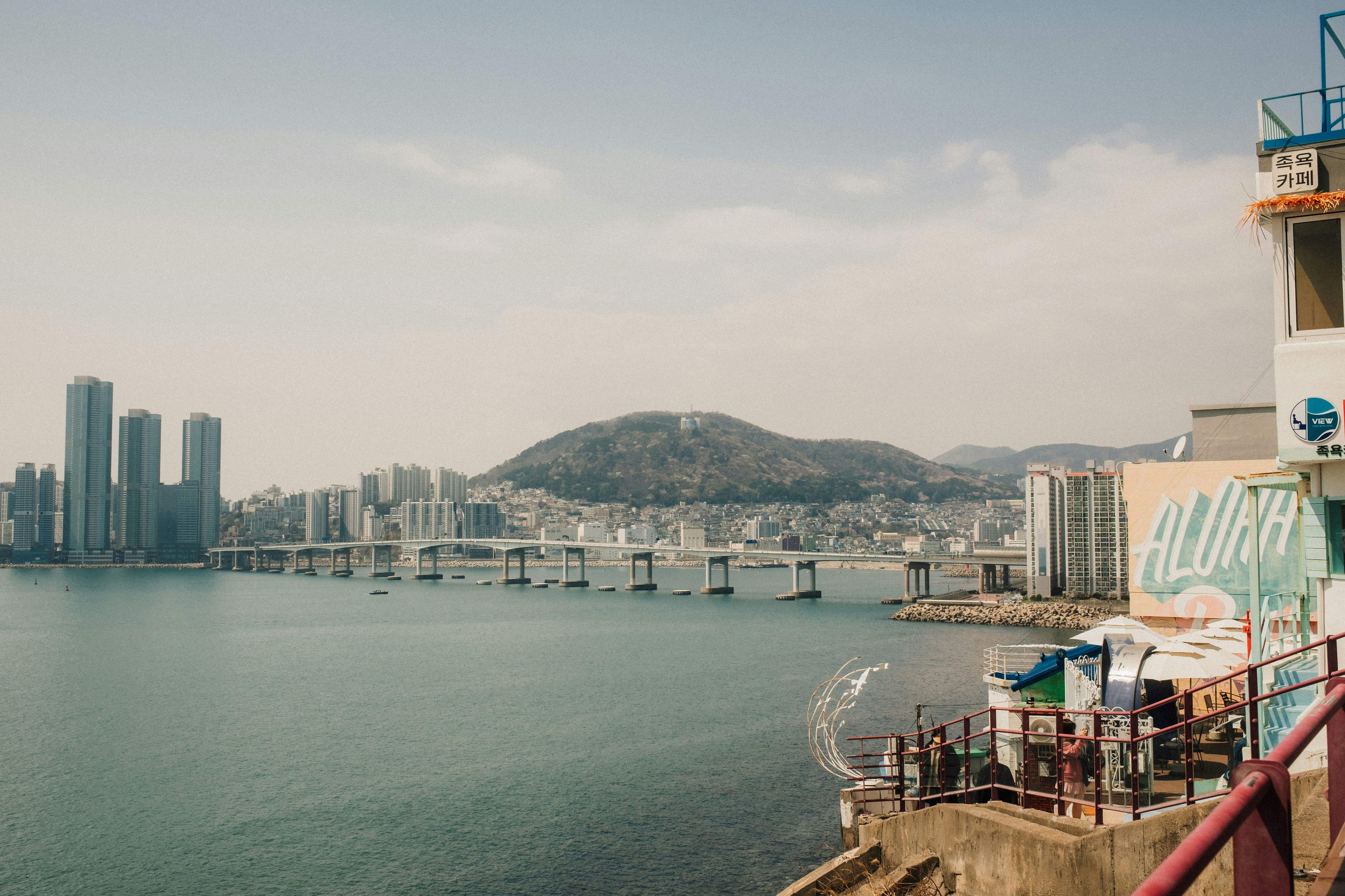 Bridgeview Beyond the Harbor: A Quiet Coastal Panorama