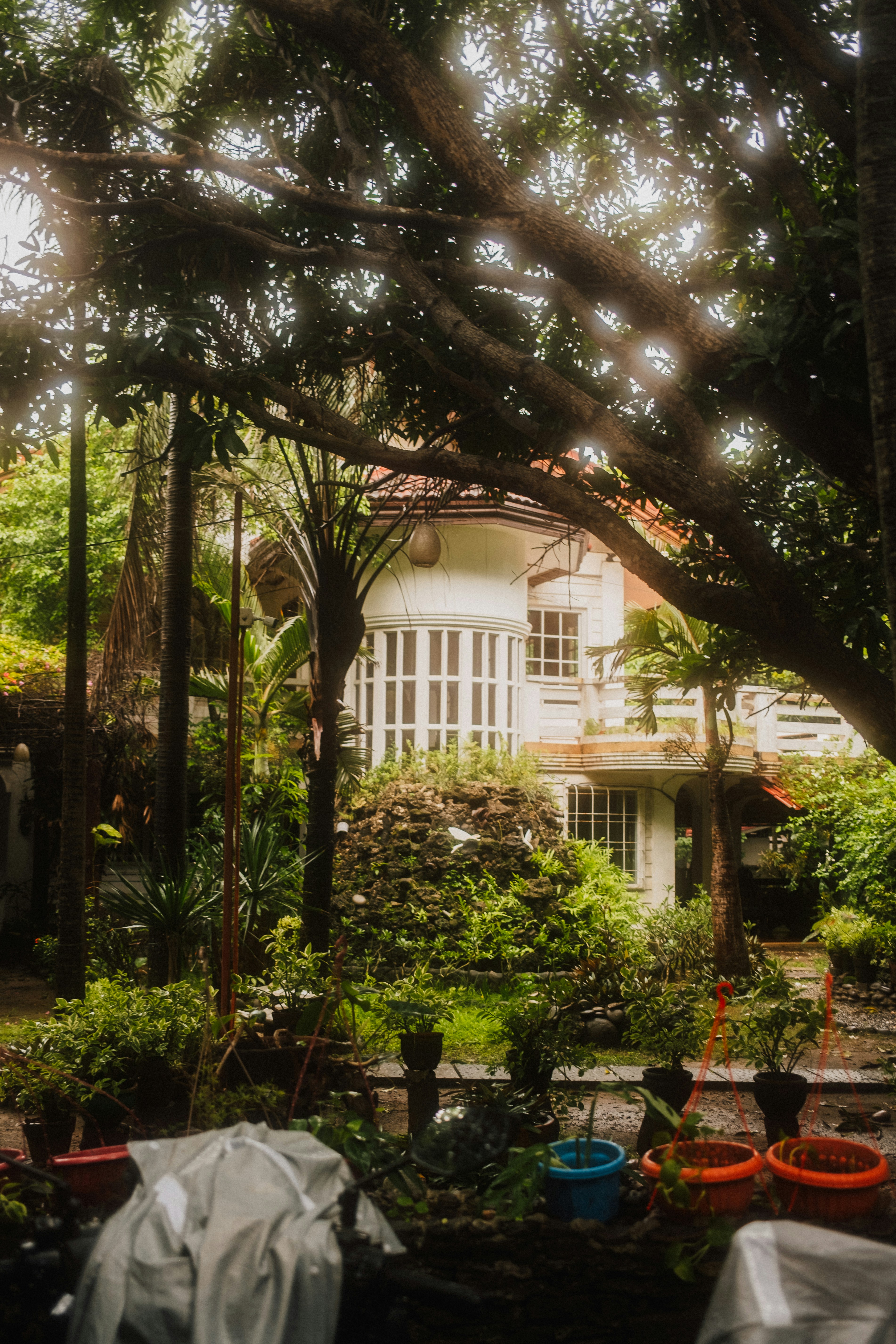 Sunlit Terrace Framed by a Canopy of Branches