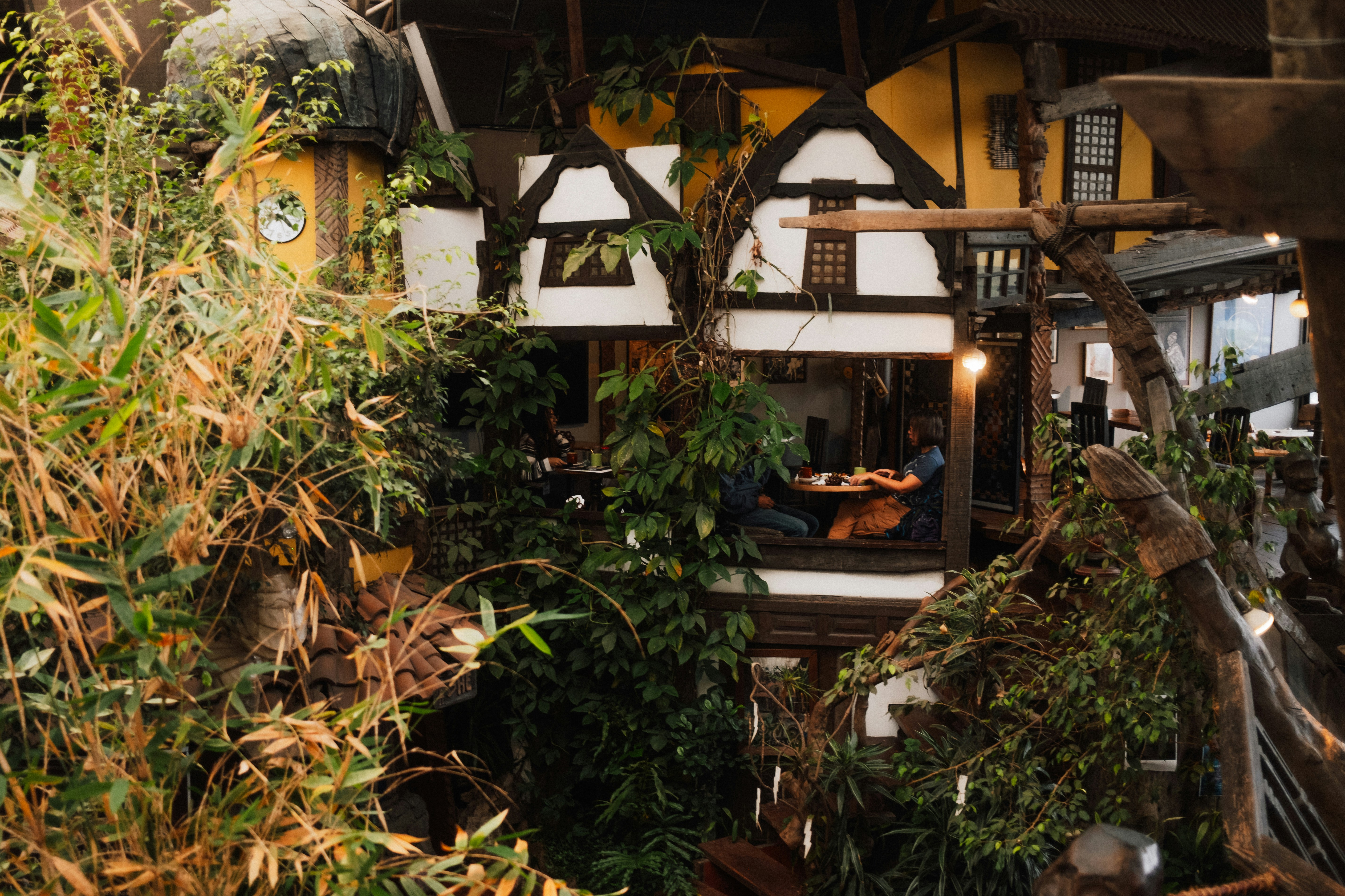 Hidden Courtyard Café Dwelling Among Bamboo and Timber