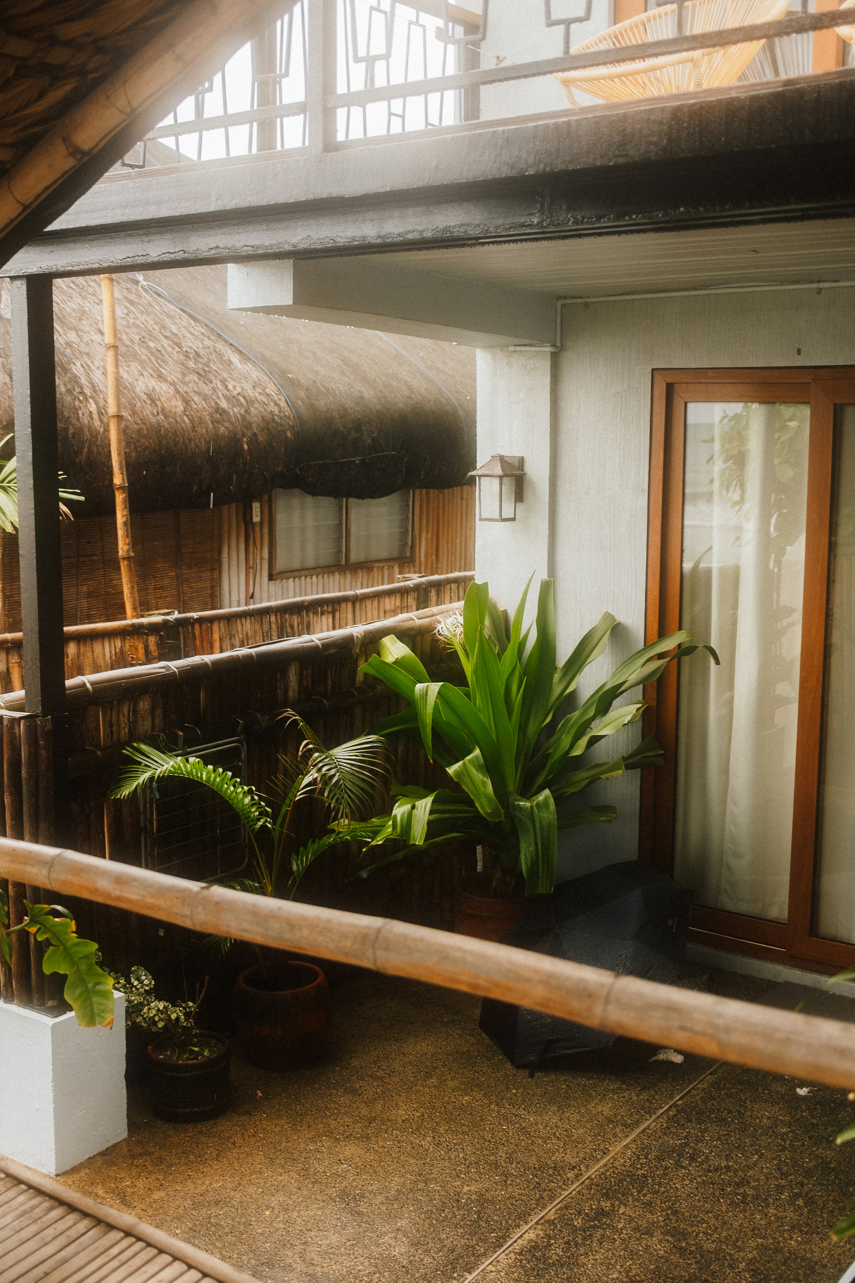Balcony Alley of Foliage and Glass