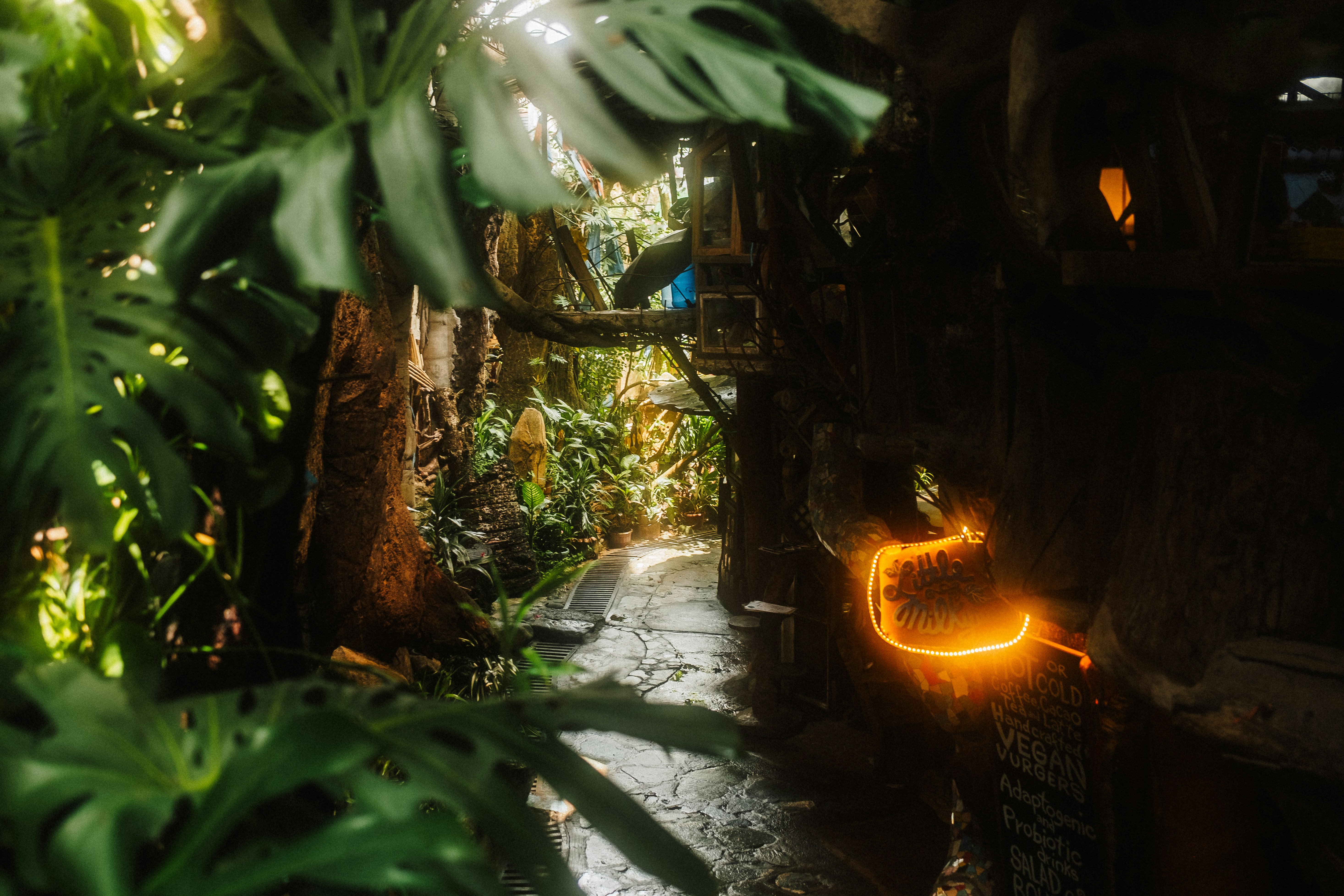 Lantern-lit Alleyway through Tropical Canopy