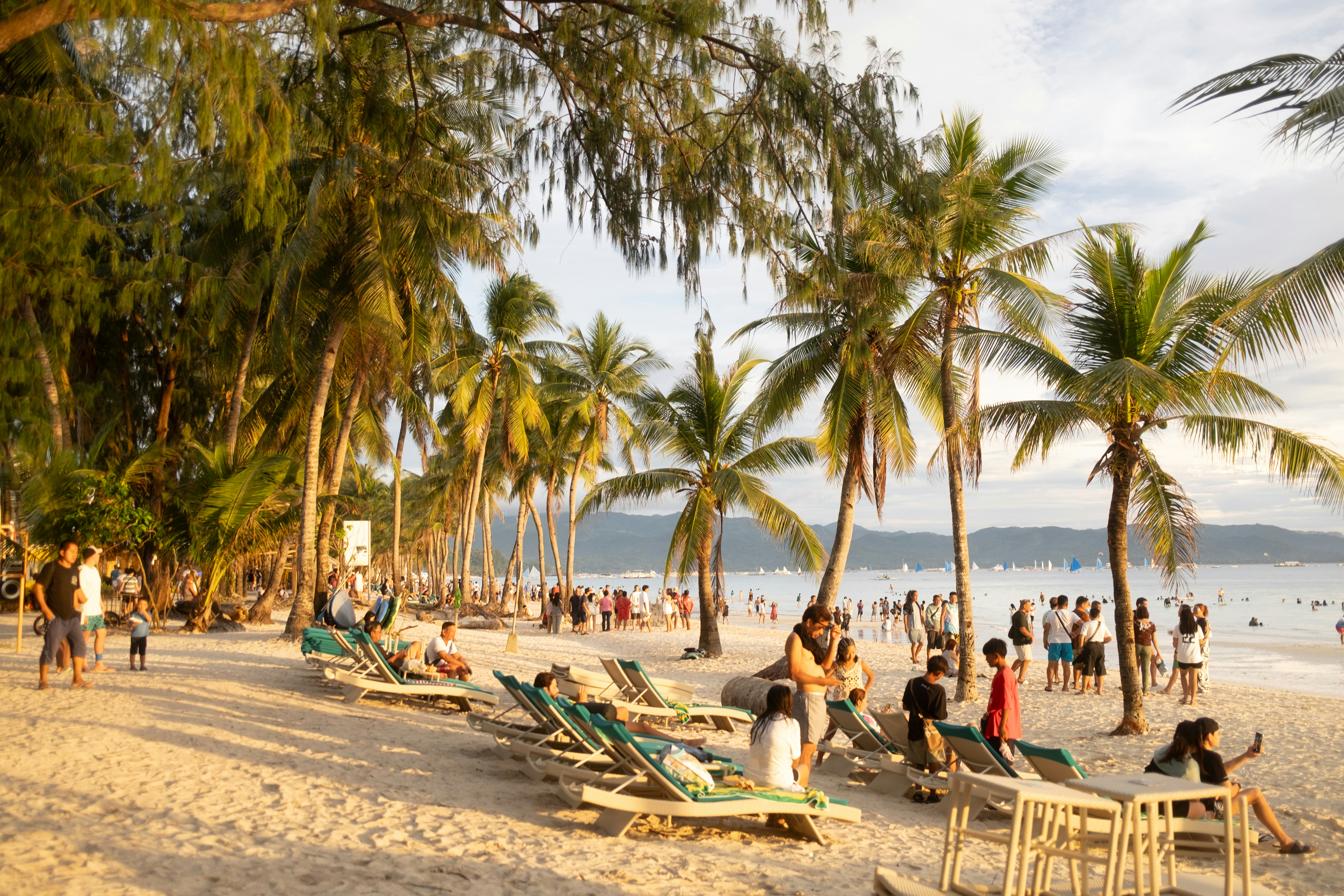 Sunlit Paradise: Palm-Shaded Beach With Loungers and People