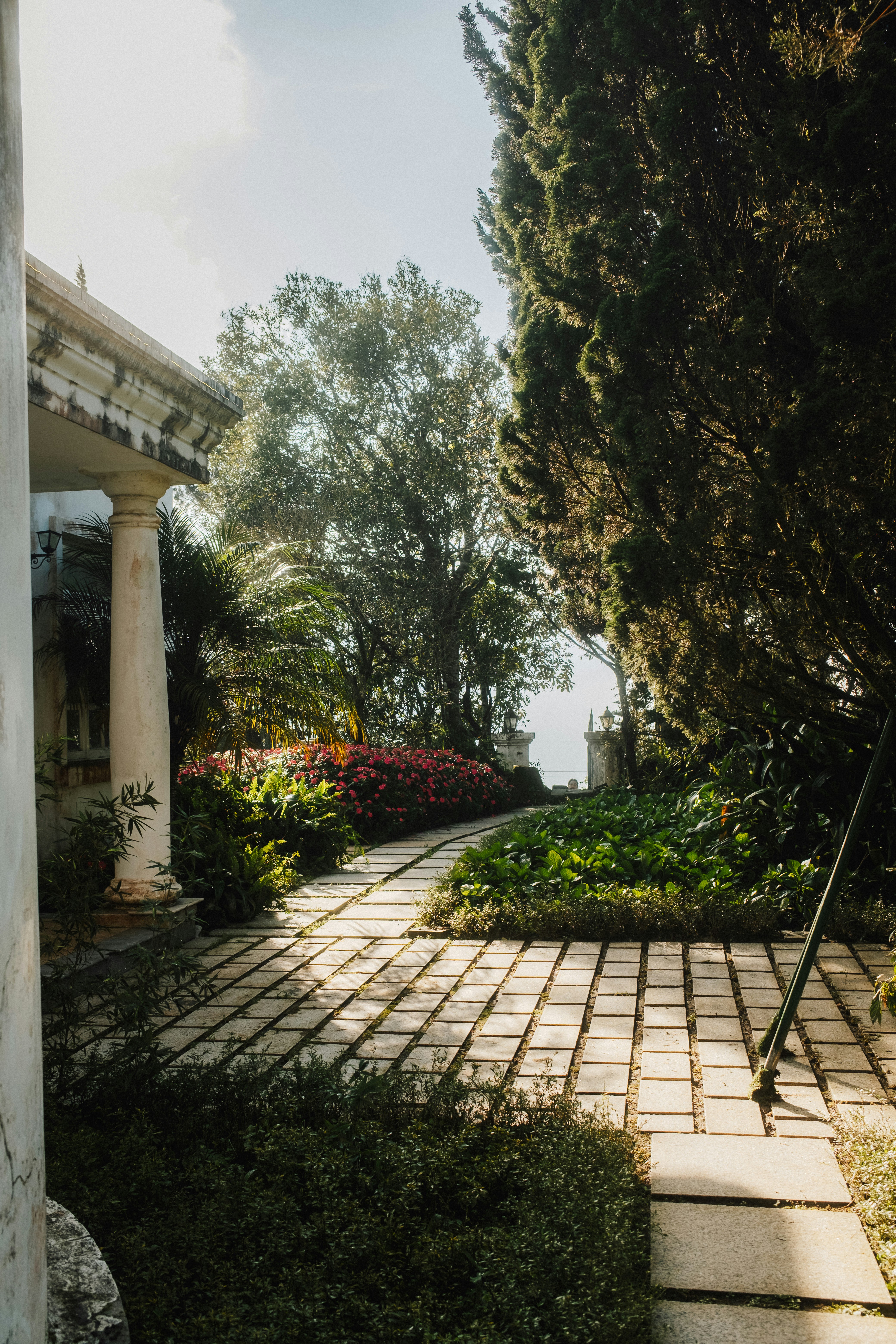 Sunlit Garden Walkway Beyond Classical Columns